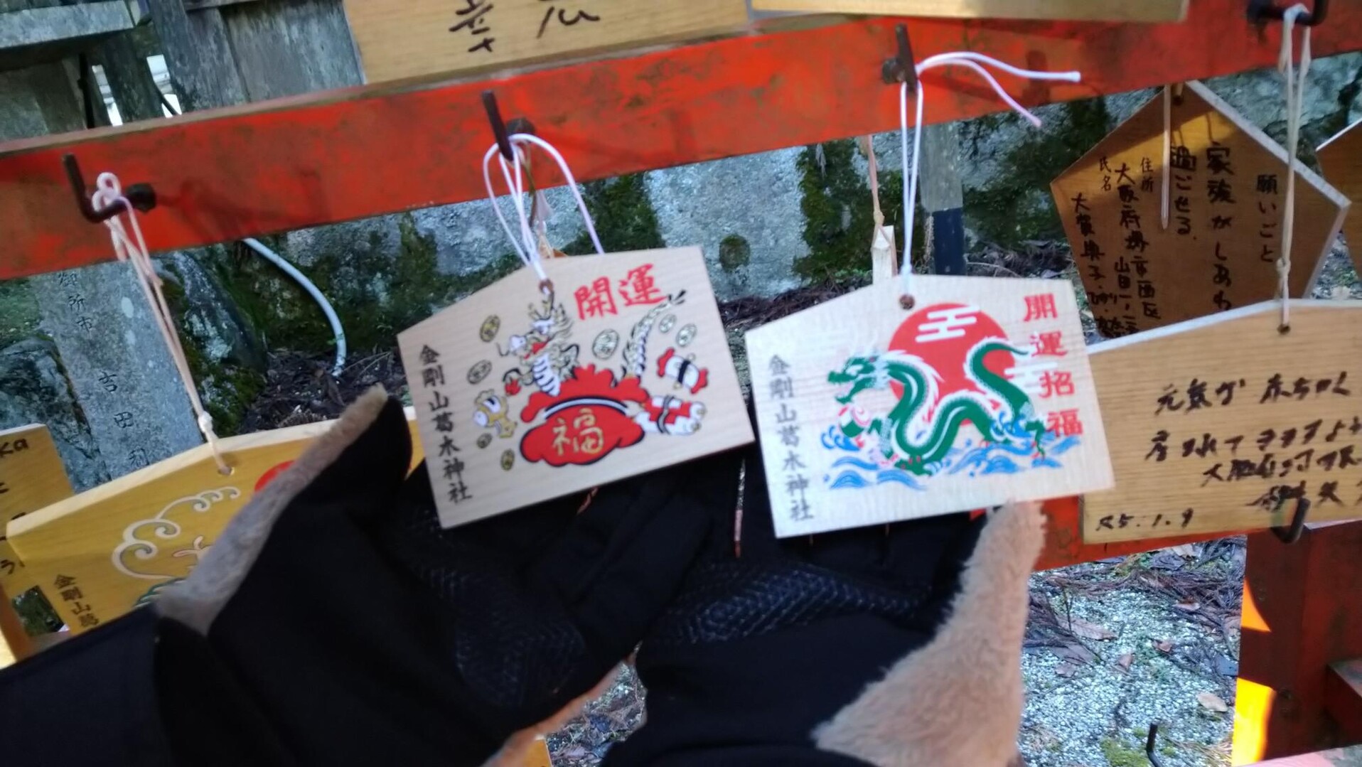 2024 初登り🐲金剛山 / saori さんの金剛山・二上山・大和葛城山の活動データ | YAMAP / ヤマップ