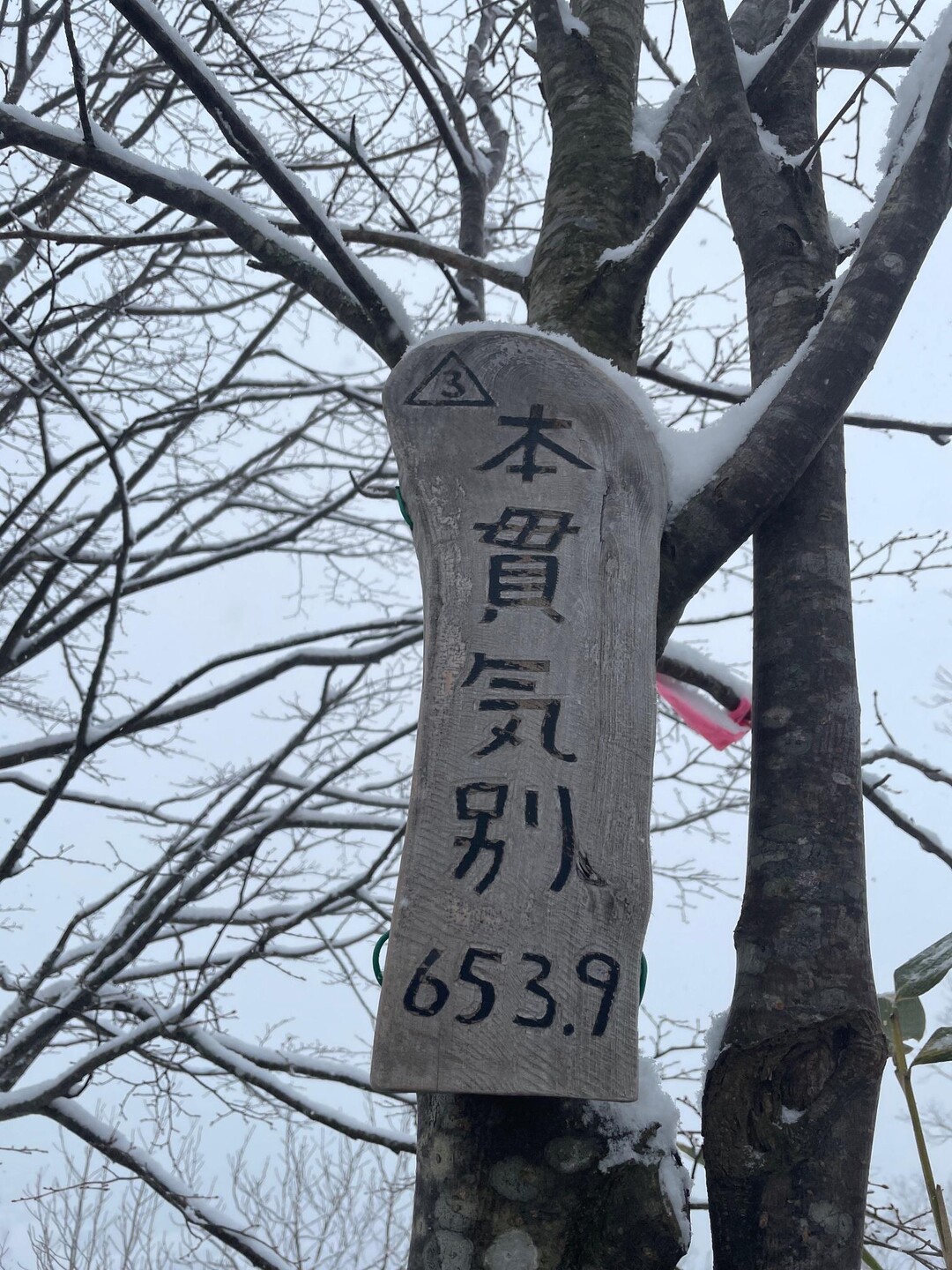 本貫気別山(ほんぬきべつやま) / 島ちゃん(島.RC)🌈さんの尻別岳の活動データ | YAMAP / ヤマップ