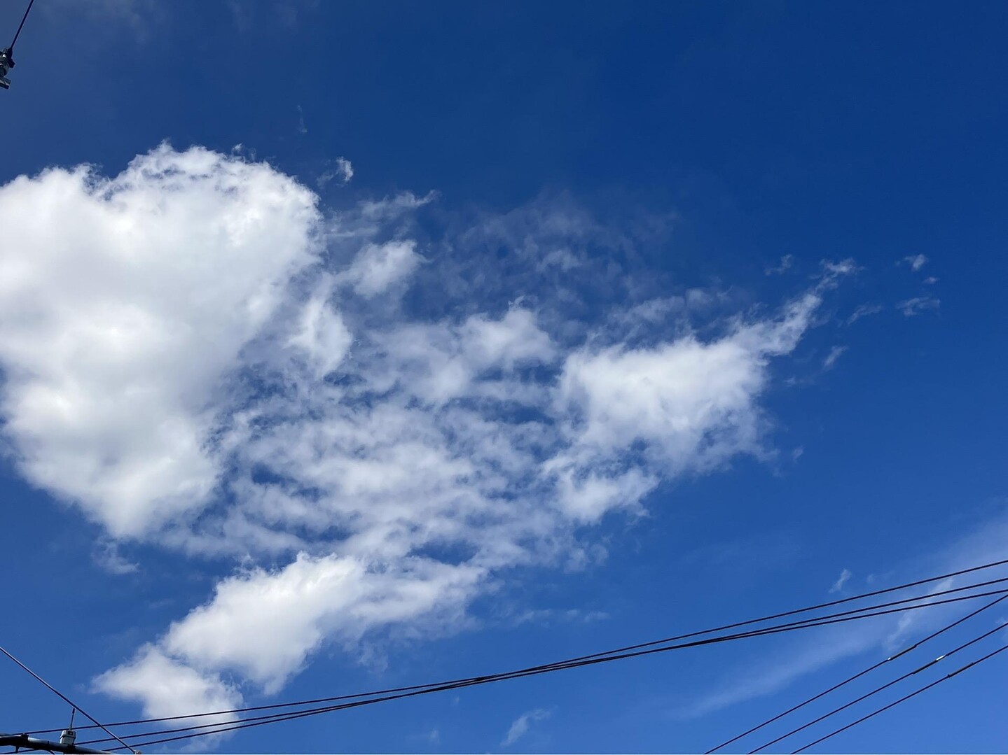 ランニング-2023-10-05 / ひさちゃん2525さんのランニングの活動データ | YAMAP / ヤマップ