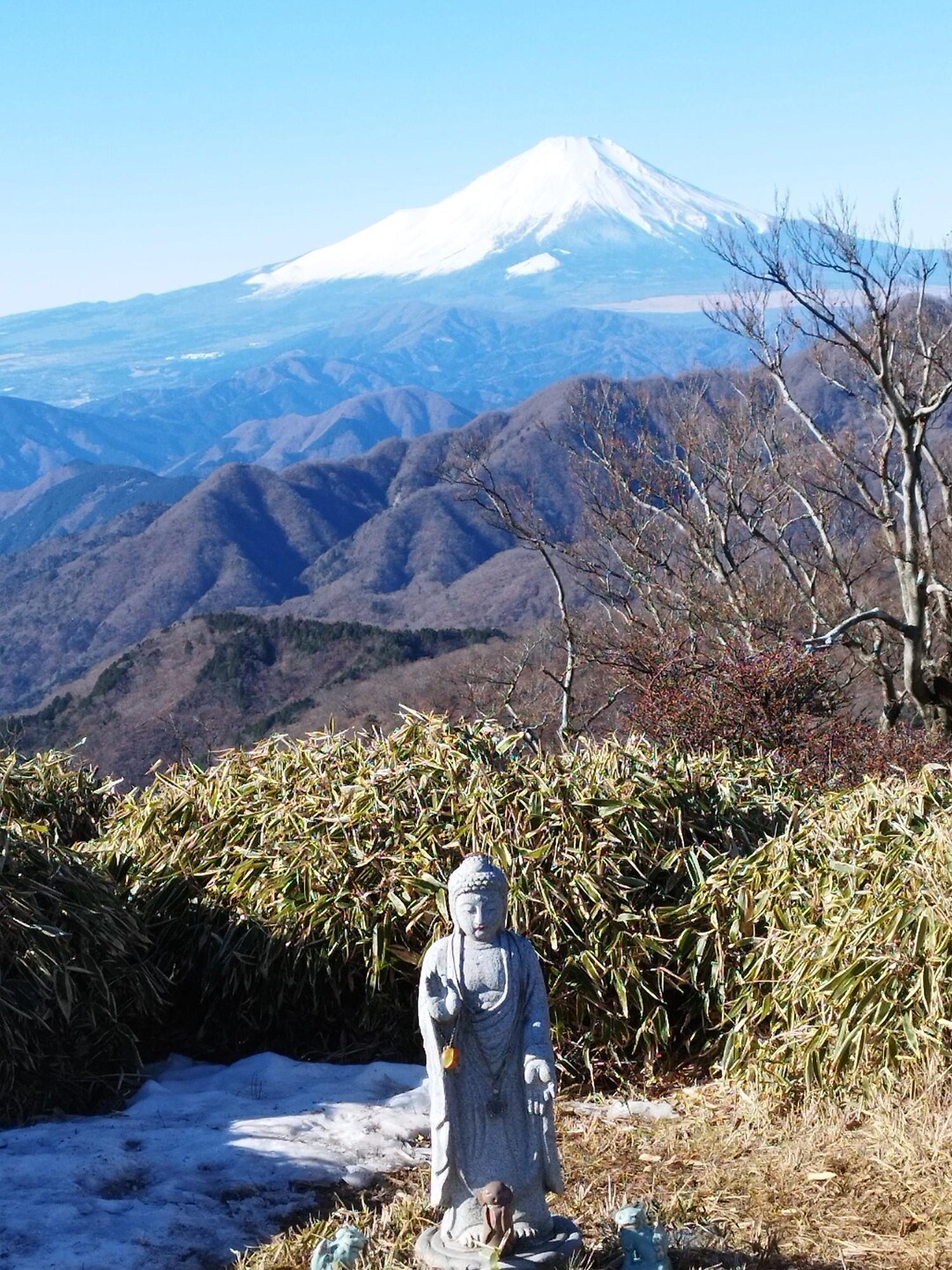 大倉〜丹沢山ピストン / datera🐻🐻🐻さんの塔ノ岳・丹沢山・蛭ヶ岳の活動データ | YAMAP / ヤマップ