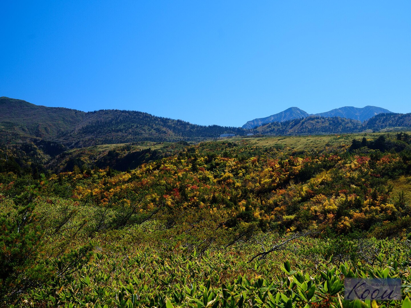 立山室堂から大日岳縦走 / Koou.さんの立山・雄山・浄土山の活動データ | YAMAP / ヤマップ