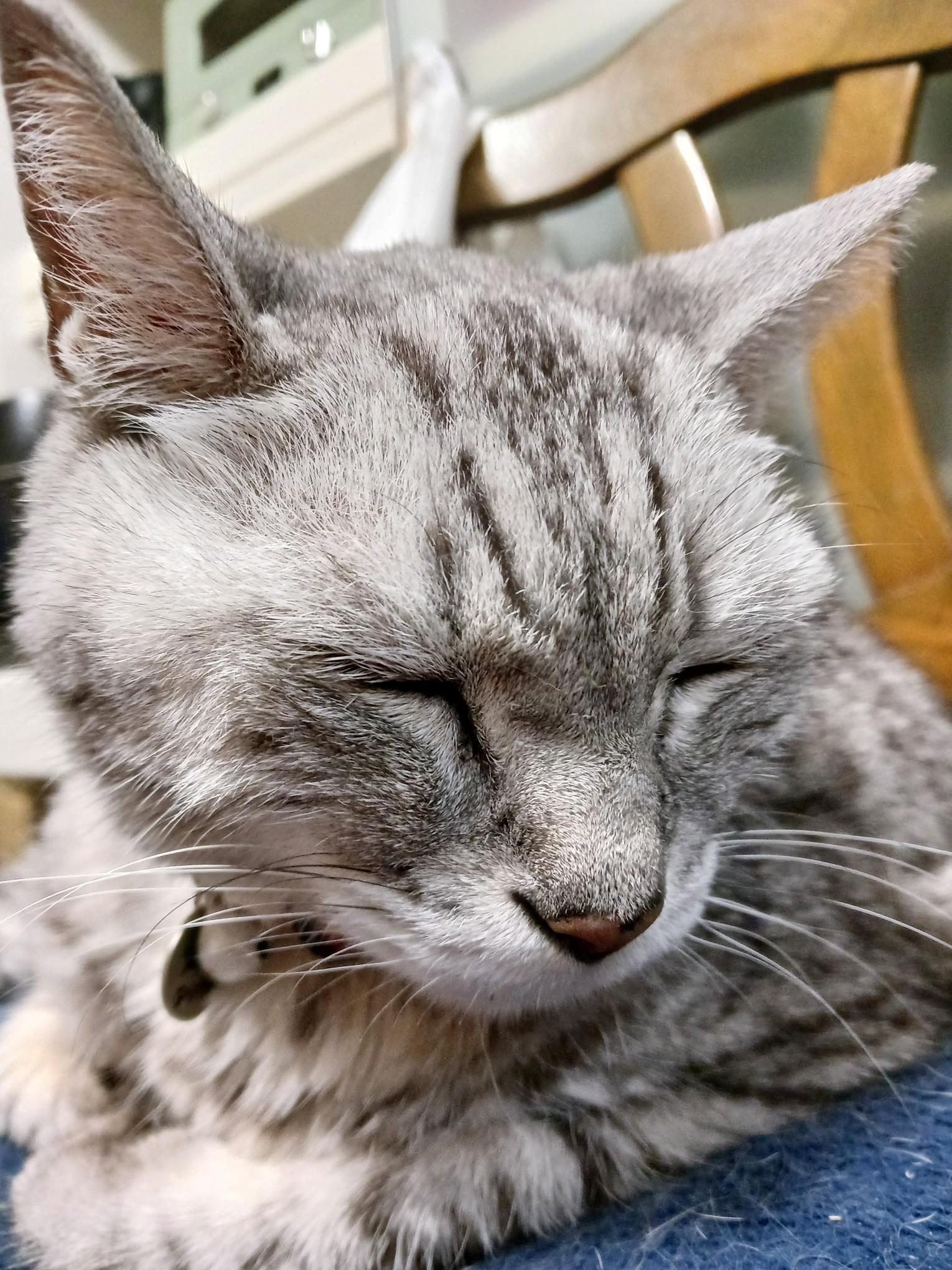 #私の安全対策 危ないかな？ と思った... / hiroさんのモーメント | YAMAP / ヤマップ