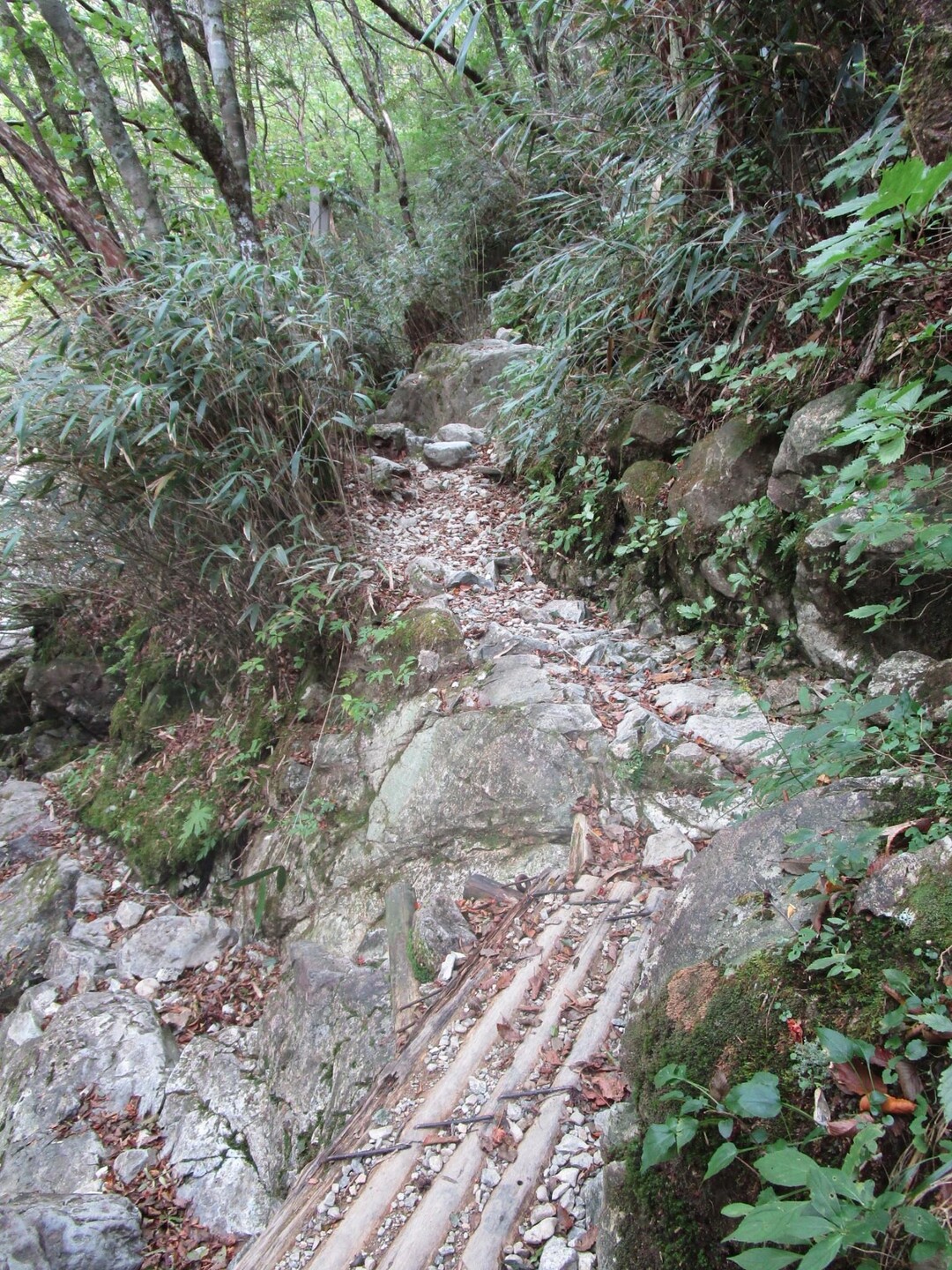 佑紀 -Yuuki-さんの投稿したフィールドメモ | YAMAP / ヤマップ