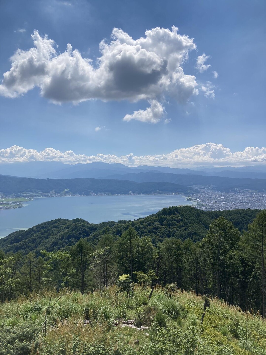 大見山・大見山南峰 / cbmdさんの大見山の活動日記 | YAMAP / ヤマップ
