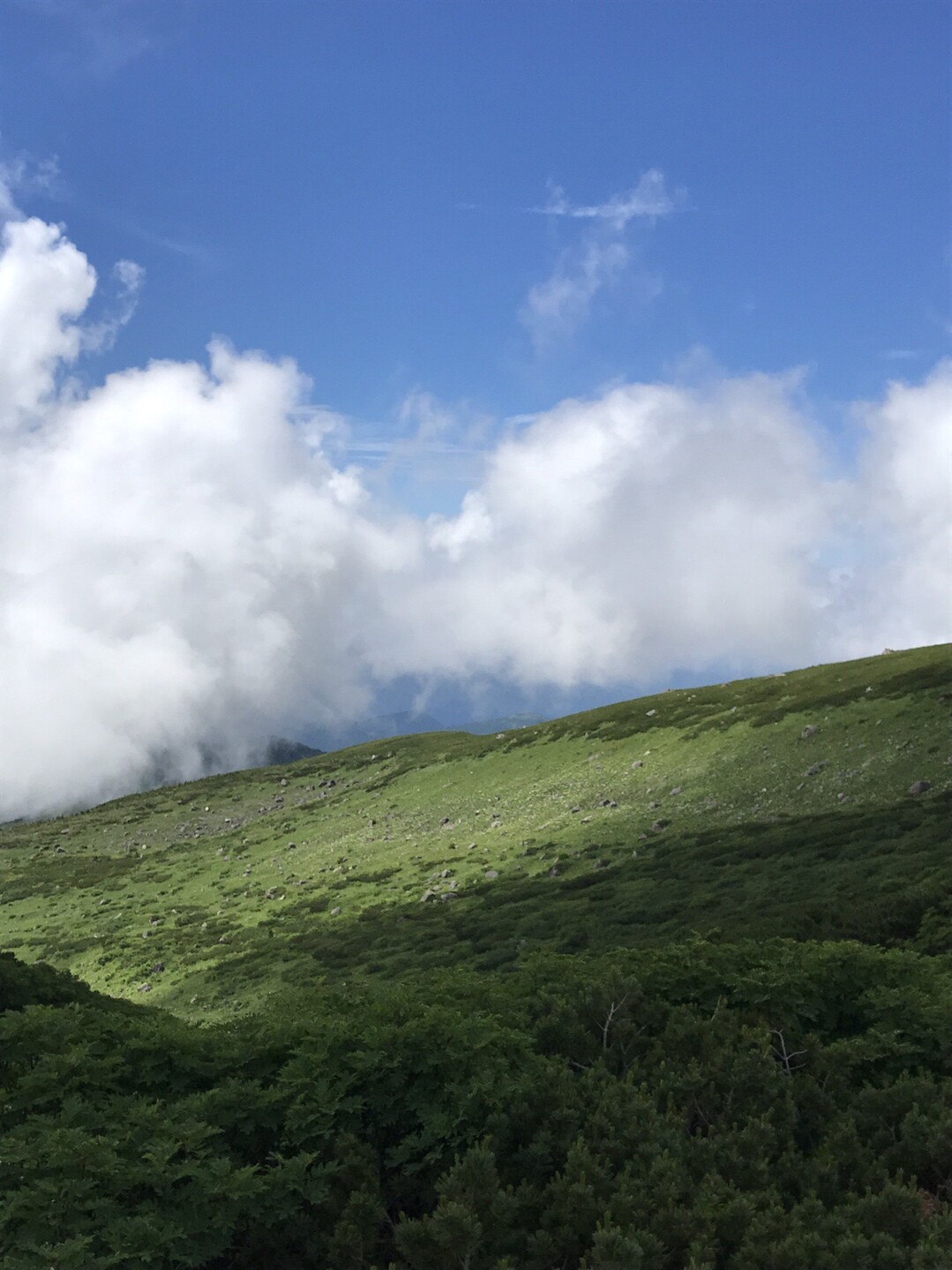 白山・別山・銚子ヶ峰-2019-08-07 / Sab Zeroさんの白山・別山・銚子ヶ峰の活動データ | YAMAP / ヤマップ