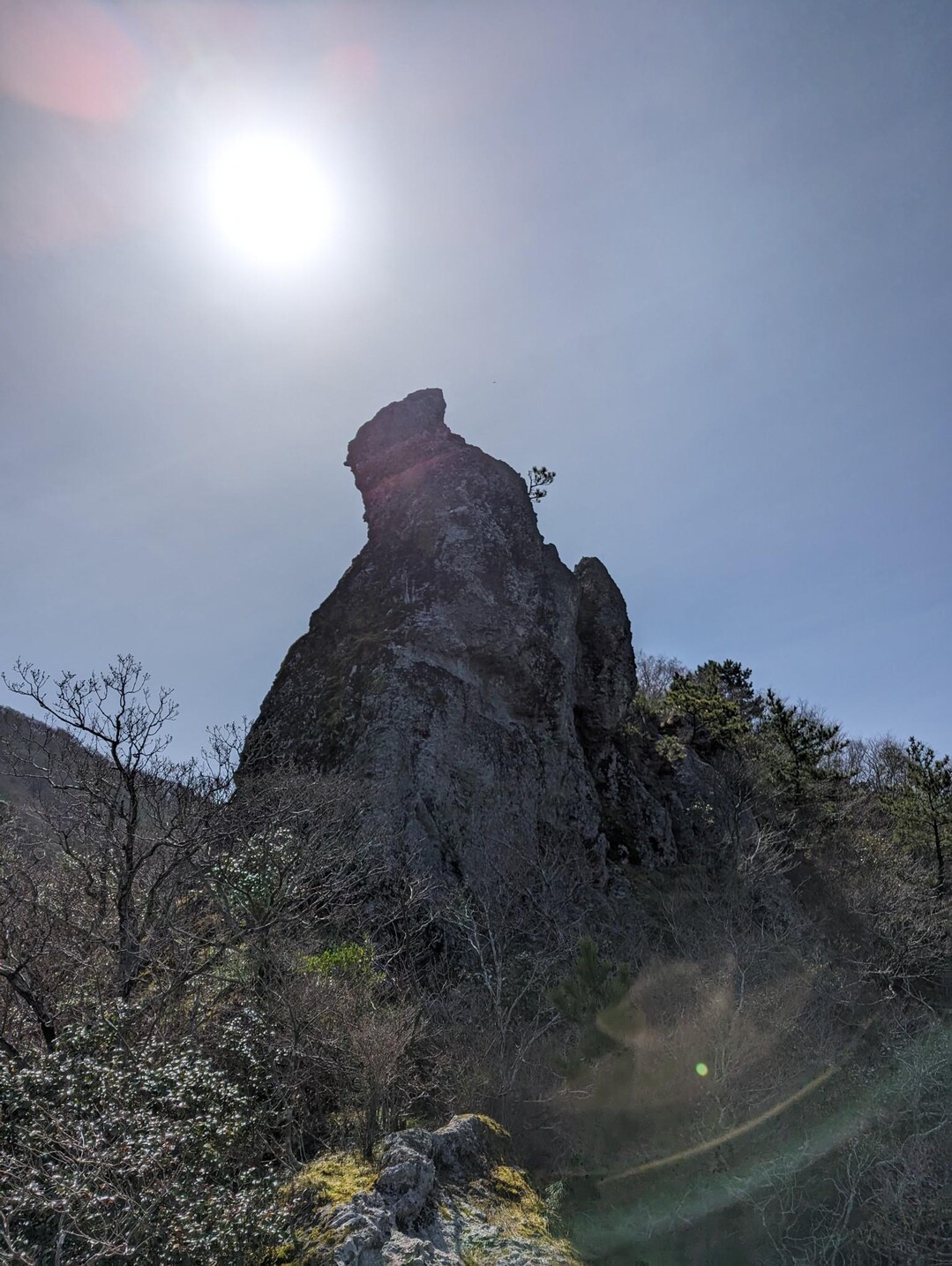 矢筈城跡 / Ranさんの三瓶山・大平山の活動データ | YAMAP / ヤマップ