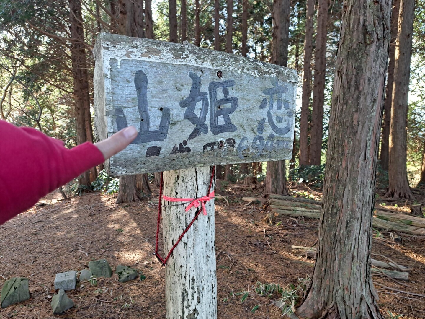 南濃の山奥徘徊(^_^;)羽沢・鎌知土・恋姫山⛰️ / yoshiko🌸さんの多度山・美濃松山・石津御嶽の活動データ | YAMAP / ヤマップ