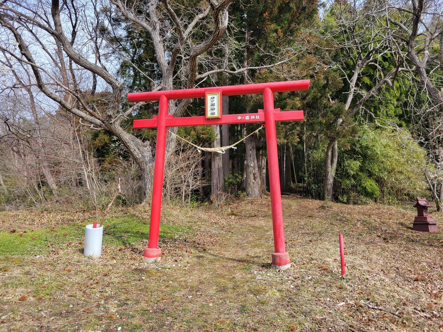 中ノ森 / しゅんさんの太白山・萱ヶ崎山・蕃山の活動日記 | YAMAP / ヤマップ