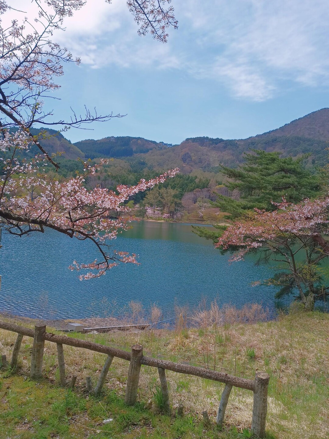 半田山 / Nozomiさんの半田山・萬歳楽山の活動データ | YAMAP / ヤマップ