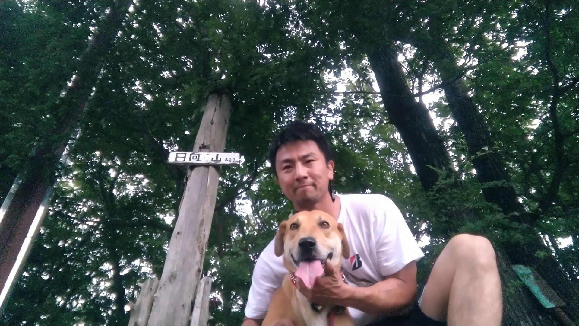 2023年7月12日 日向山 / プロレスラーFUMAさんの丸山の活動データ | YAMAP / ヤマップ