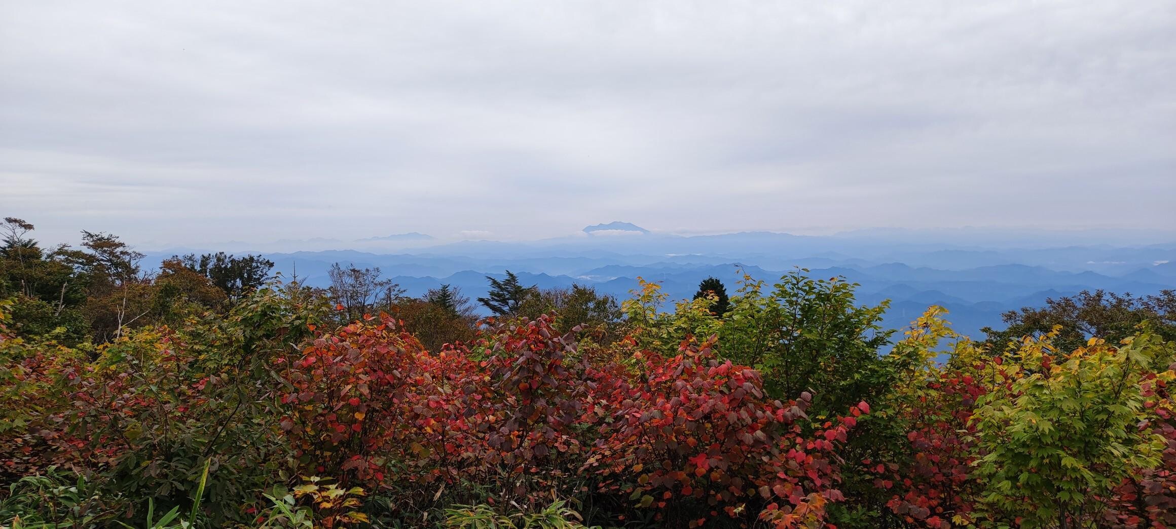 瓢ヶ岳・奥瓢ヶ岳・南岳・片知山 / DAYZ Highway STARさんの高賀山・瓢ヶ岳・片知山の活動データ | YAMAP / ヤマップ