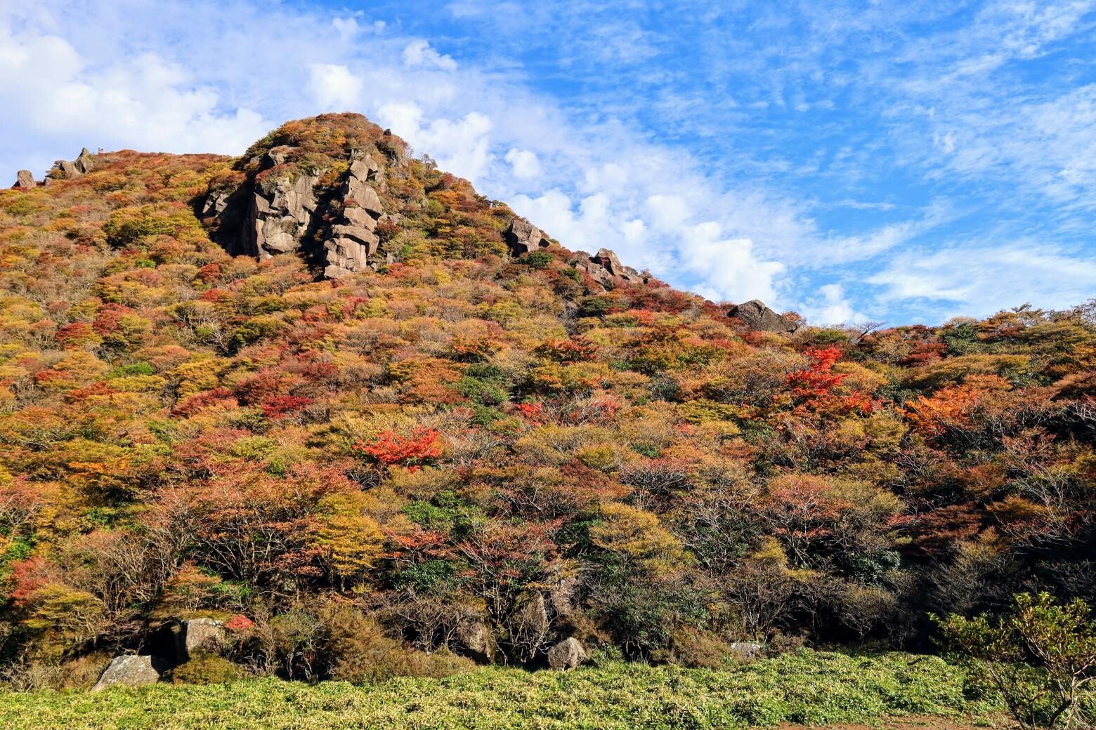 燃え萌え三俣山 / toshil-_-lさんの九重山（久住山）・大船山・星生山の活動データ | YAMAP / ヤマップ