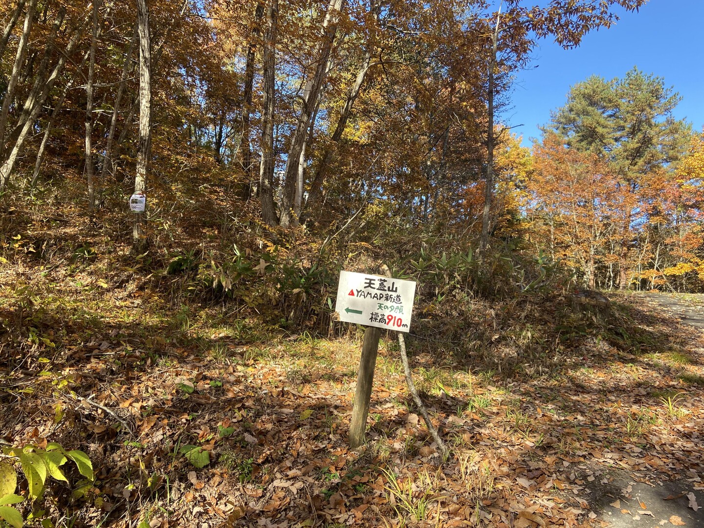 晩秋の天蓋山 YAMAP新道から初登山 / tengaisan03さんの天蓋山・大鼠山の活動データ | YAMAP / ヤマップ