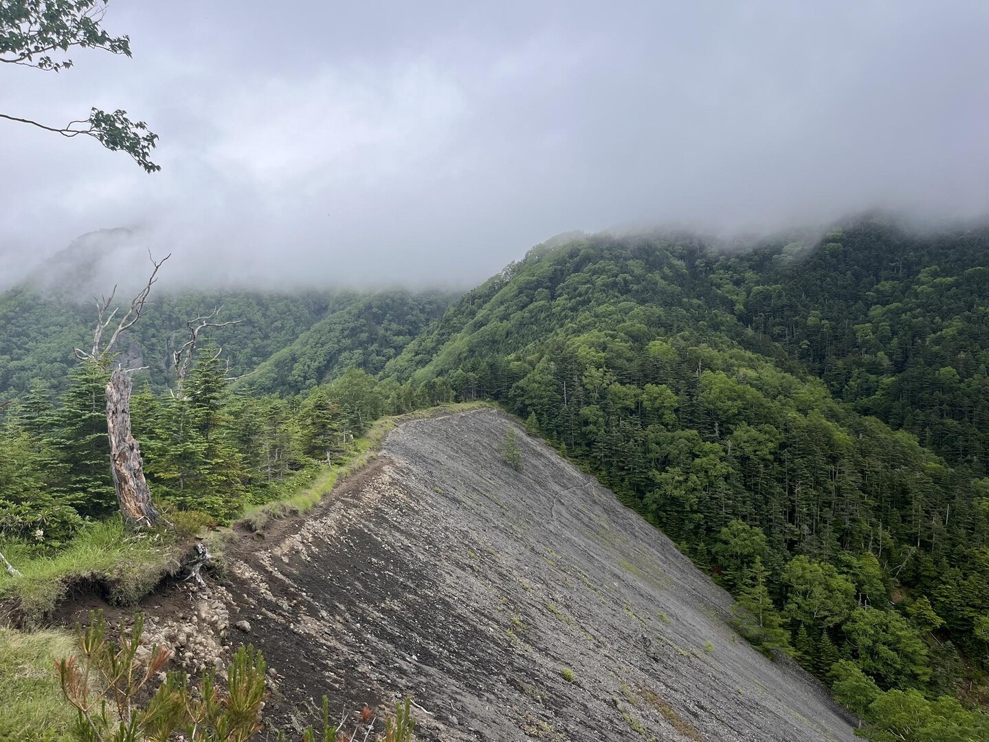 【VR】阿弥陀南稜〜中央稜 / kazuさんの八ヶ岳（赤岳・硫黄岳・天狗岳）の活動データ | YAMAP / ヤマップ