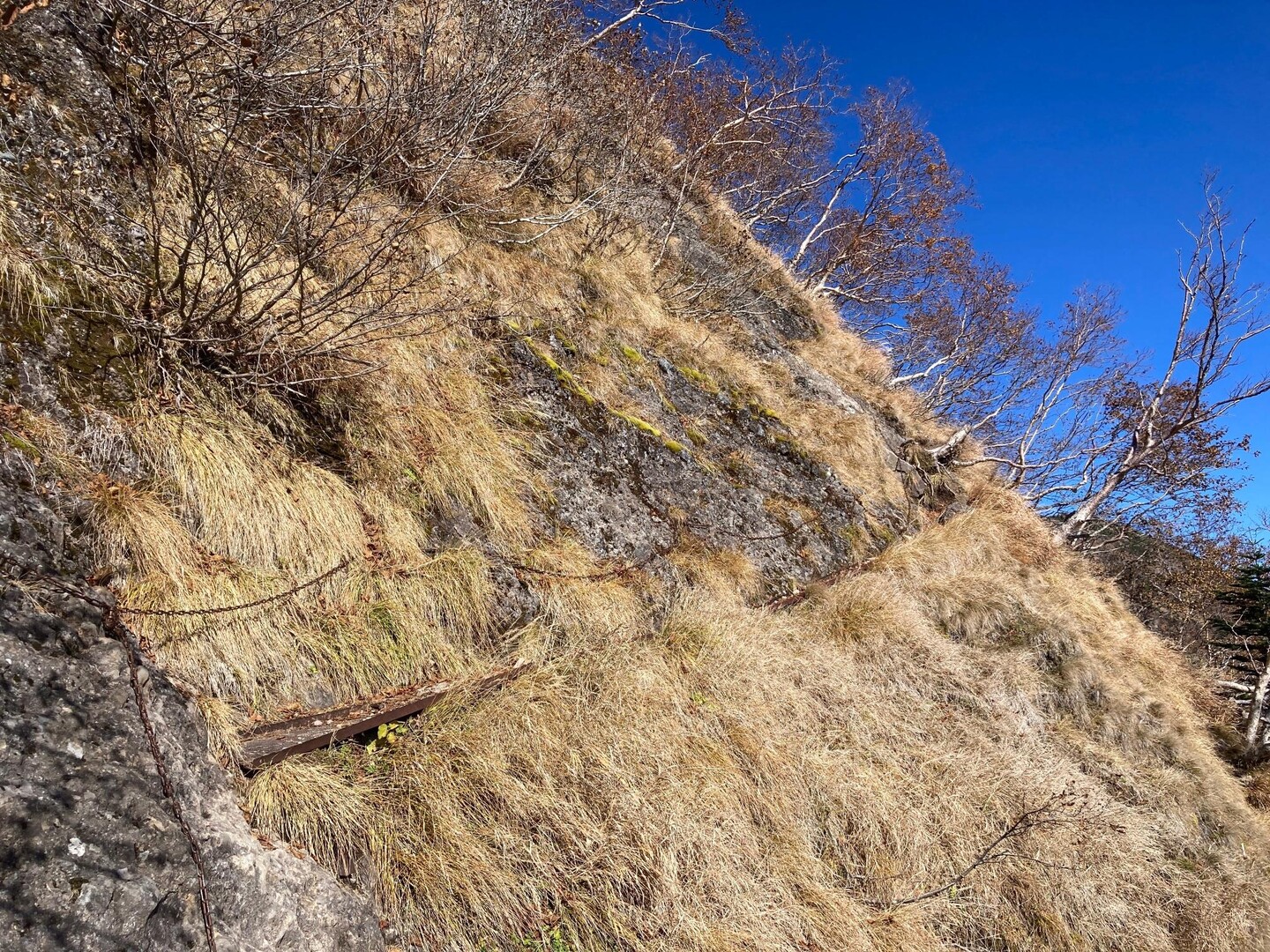 maaasanさんの投稿したフィールドメモ | YAMAP / ヤマップ