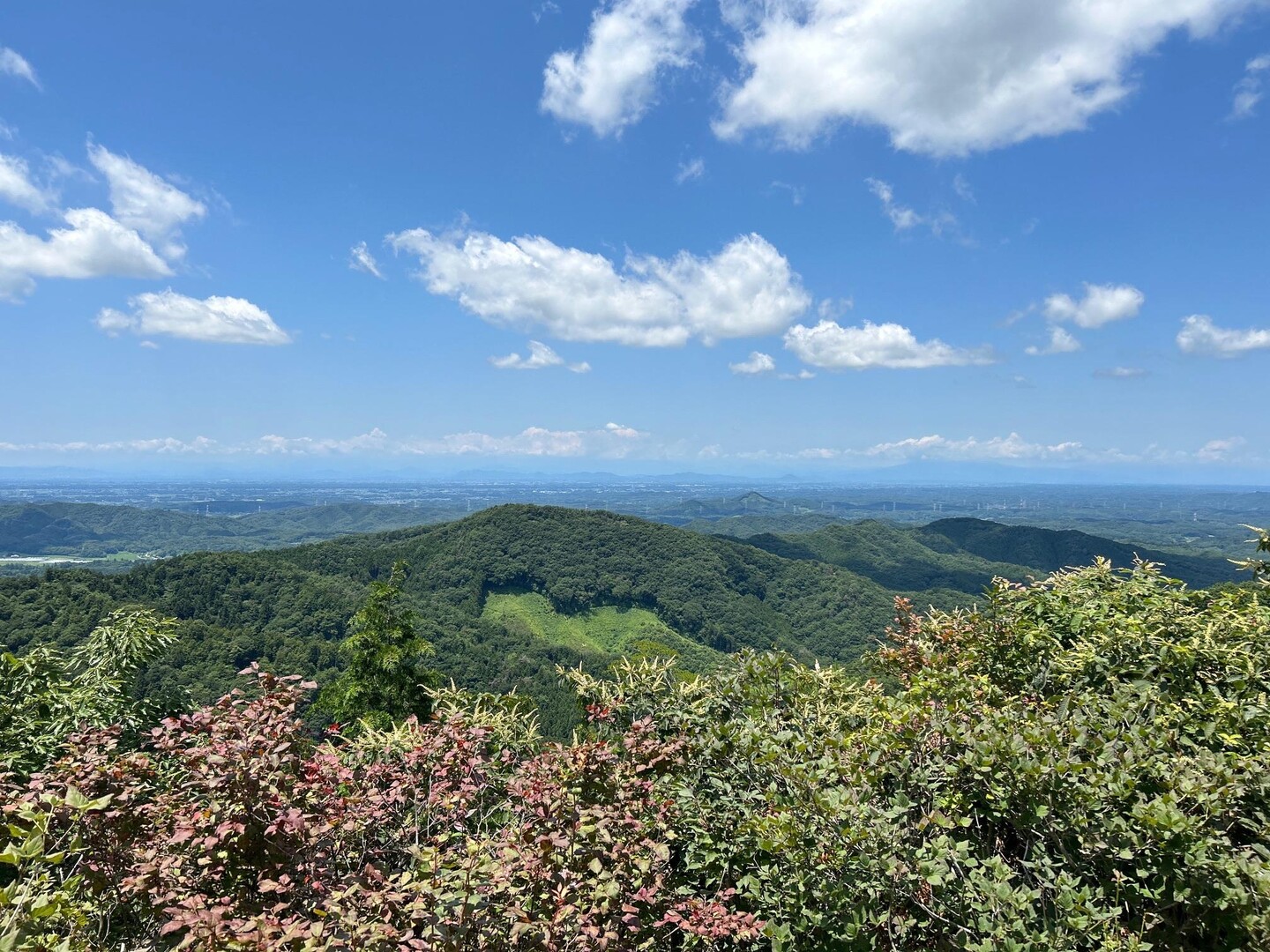 鶏足山 2023.07.02 / Emilyさんの焼森山・鶏足山の活動データ | YAMAP / ヤマップ