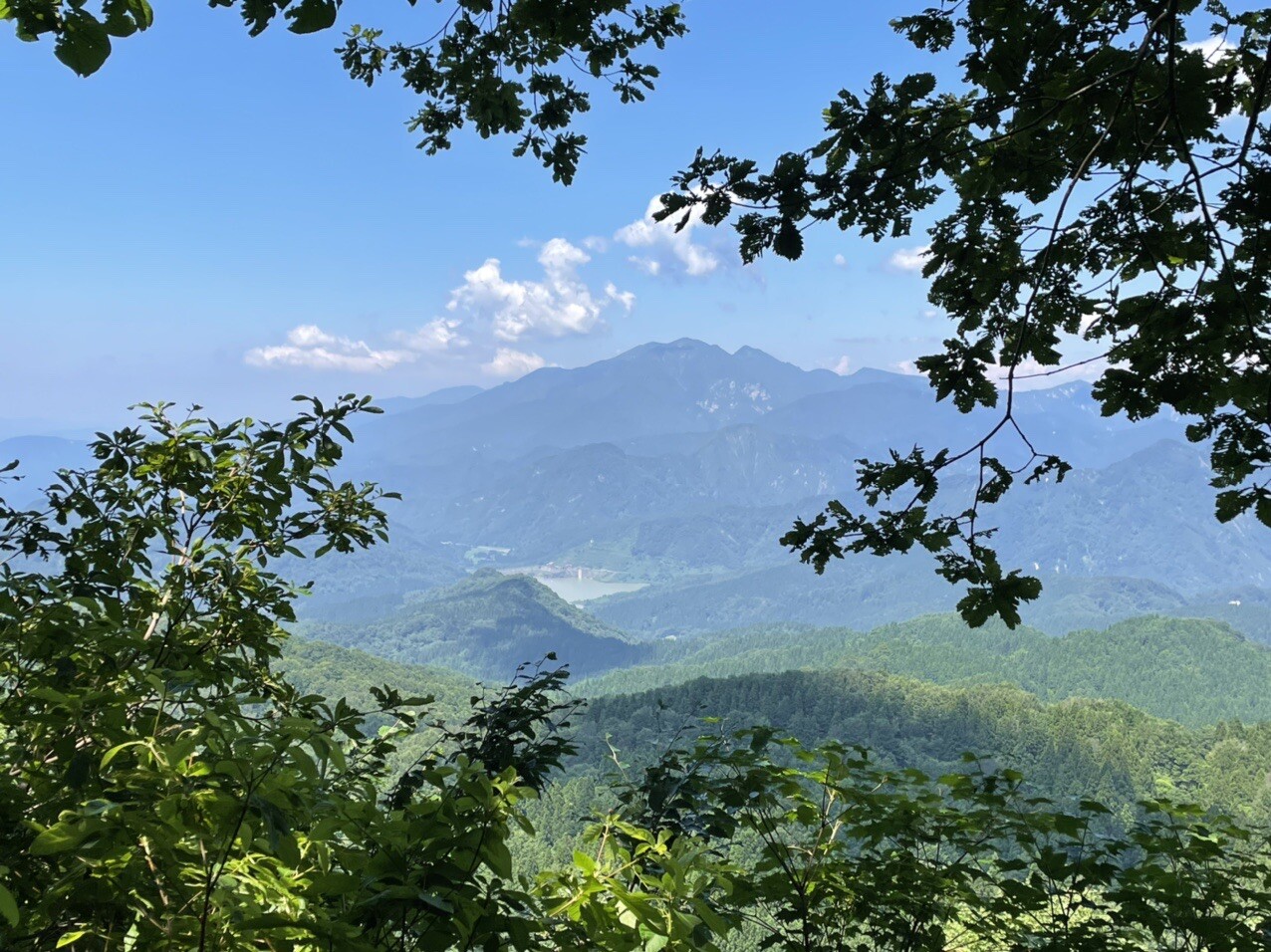 番屋山 登山2021-07-17 / kaizaさんの番屋山の活動データ | YAMAP / ヤマップ