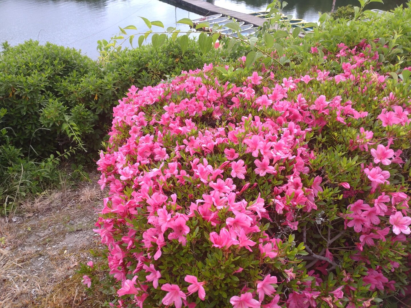 尾張富士・尾張本宮山 / 鈴鹿の空からさんの尾張富士・尾張本宮山・尾張白山の活動データ | YAMAP / ヤマップ