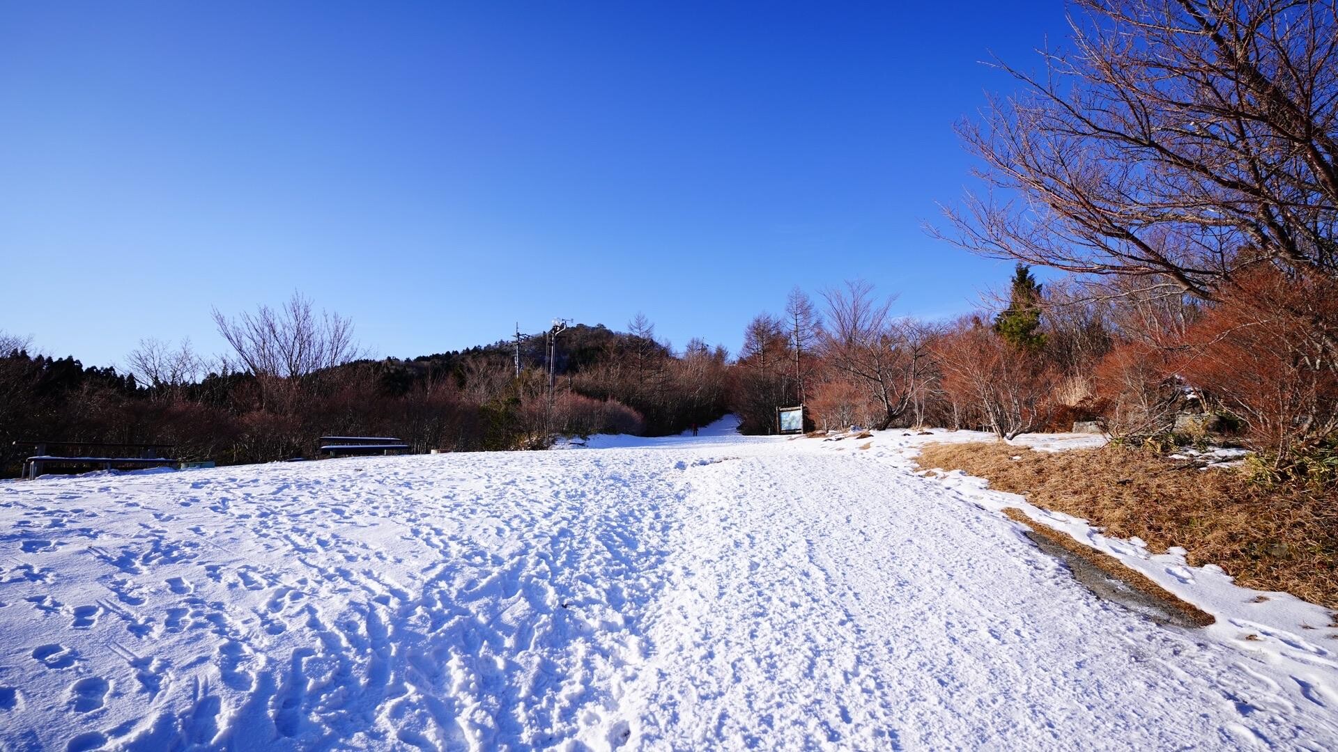 石鎚山へ霧氷を見に…まさかのピキッと事件😩 / 51-GOGOさんの石鎚山・堂ヶ森・二ノ森の活動データ | YAMAP / ヤマップ