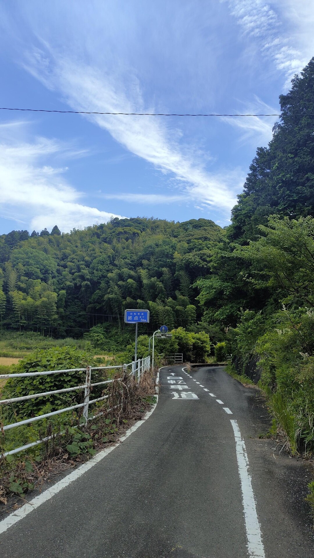 美祢市LSD No4 2024-06-15 / seiさんの秋吉台の活動データ | YAMAP / ヤマップ