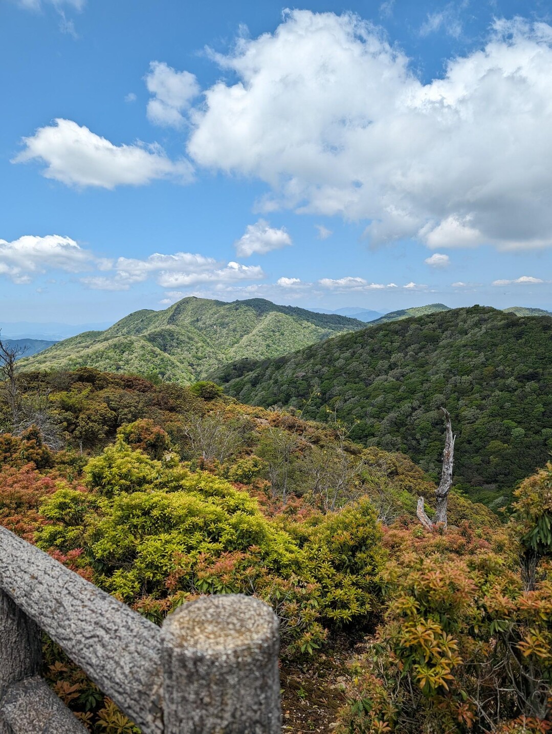 三方山・小倉山・養老山・北尾根P826峰 / シゲさんさんの養老山・笙ヶ岳・三方山の活動データ | YAMAP / ヤマップ