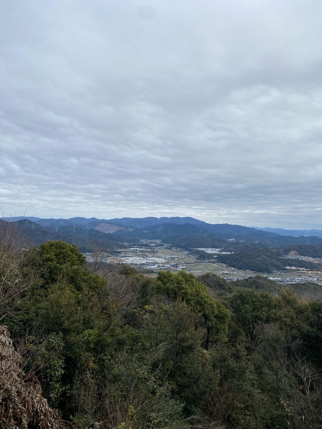 宮路山 / Chayaさんの五井山・宮路山・御堂山の活動データ | YAMAP / ヤマップ