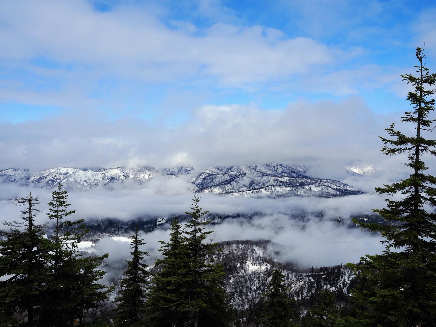 幌加内坊主山へ🗻 🛷三昧 / rucolaさんの坊主山の活動データ | YAMAP / ヤマップ