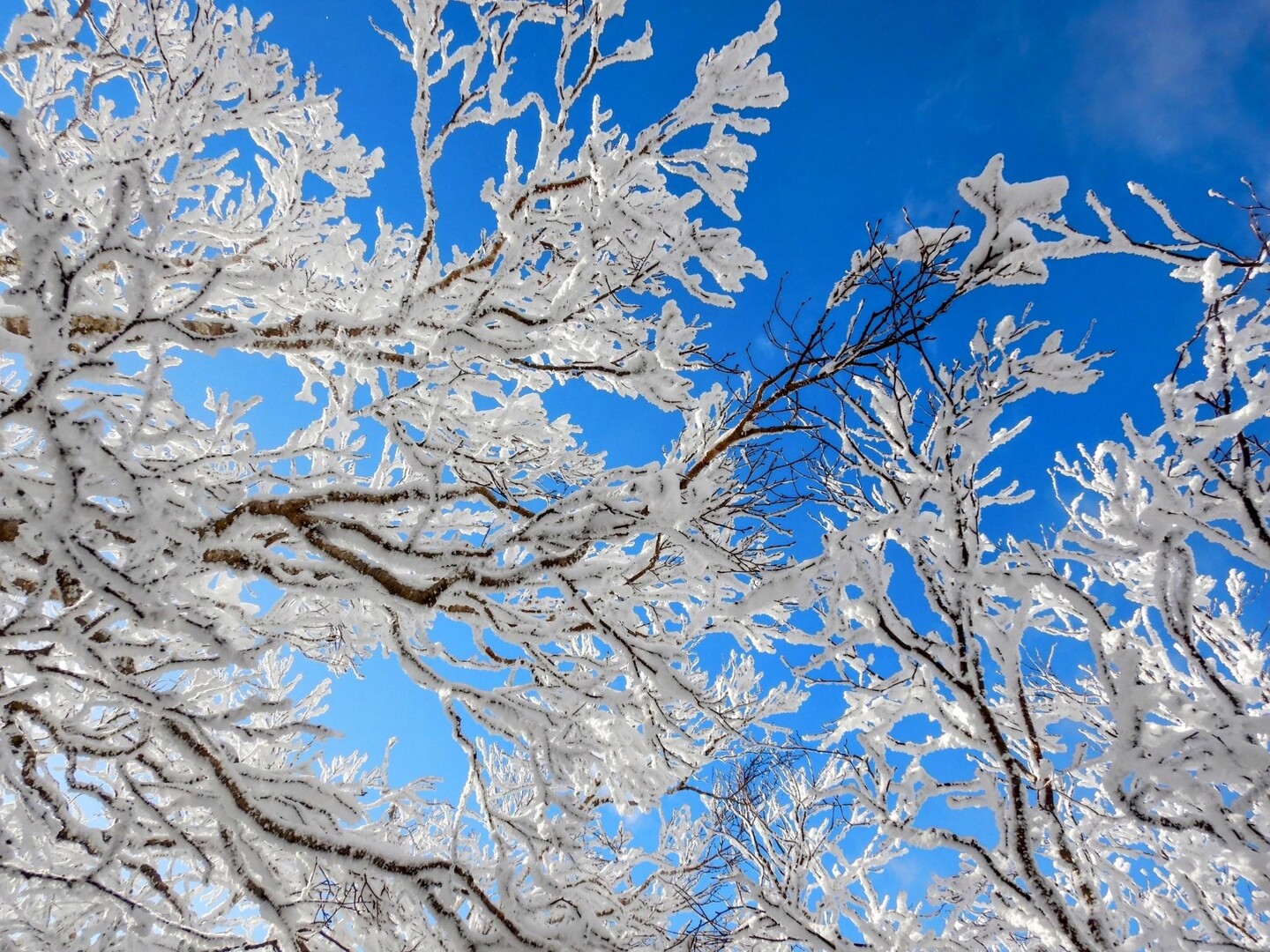 冬の北海道 01 / Coo (=^x^=)さんのオロフレ山・来馬岳の活動データ | YAMAP / ヤマップ
