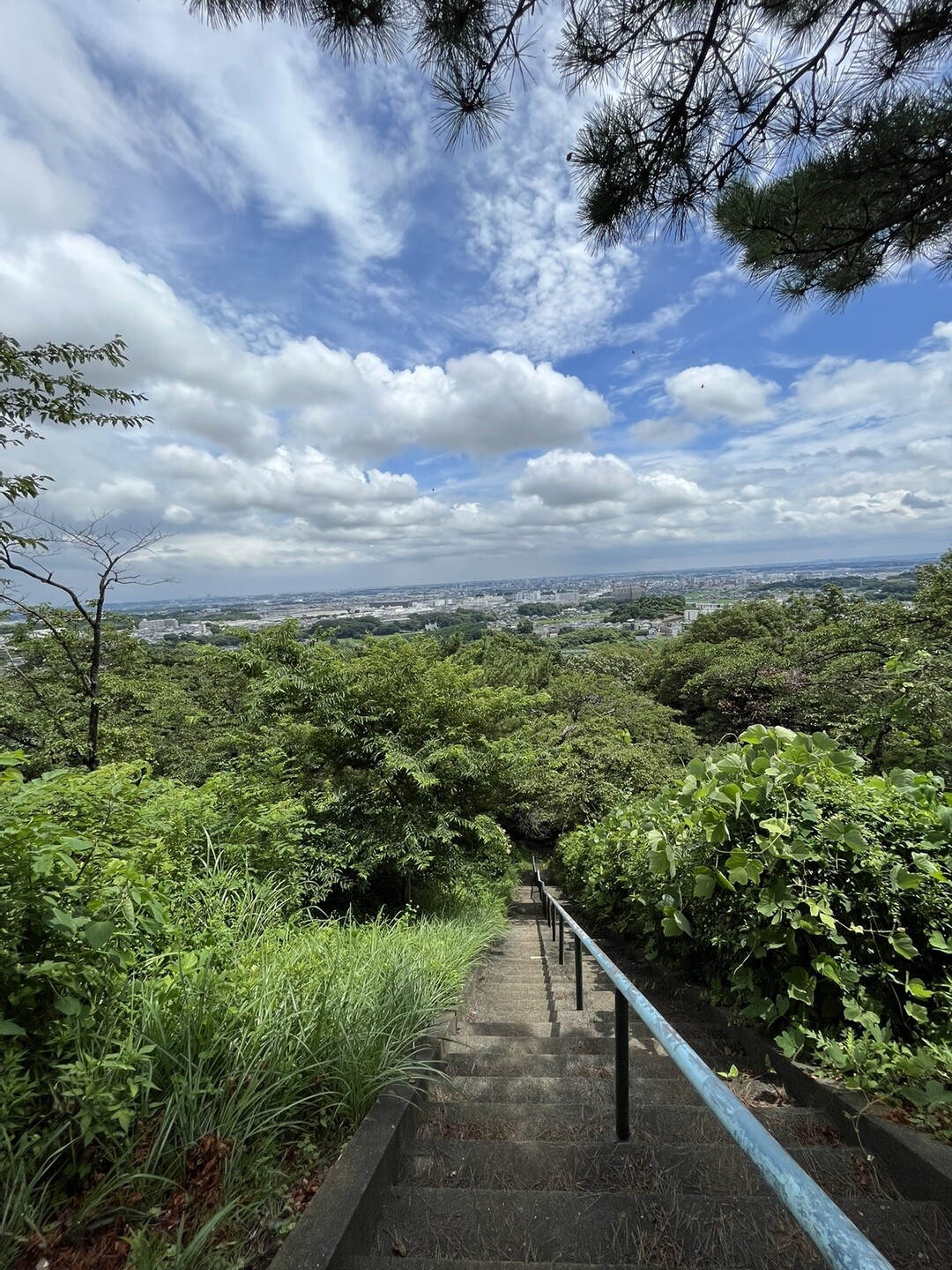 今日は近場の厚木 高松山で心拍数アップト... / R.Sさんのモーメント | YAMAP / ヤマップ