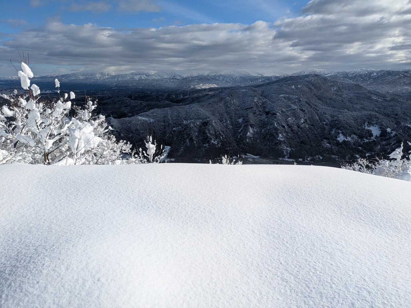 大乗悟山 / 春雪ノ下さんの大乗悟山・笹津山の活動データ | YAMAP / ヤマップ