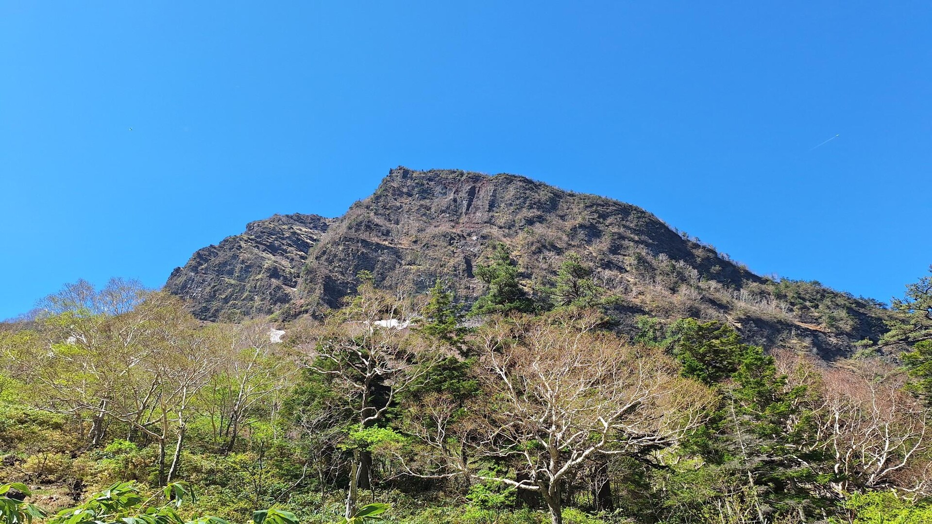 R06.05.14黒倉山 / たけちゃんさんの岩手山・黒倉山・鞍掛山の活動データ | YAMAP / ヤマップ