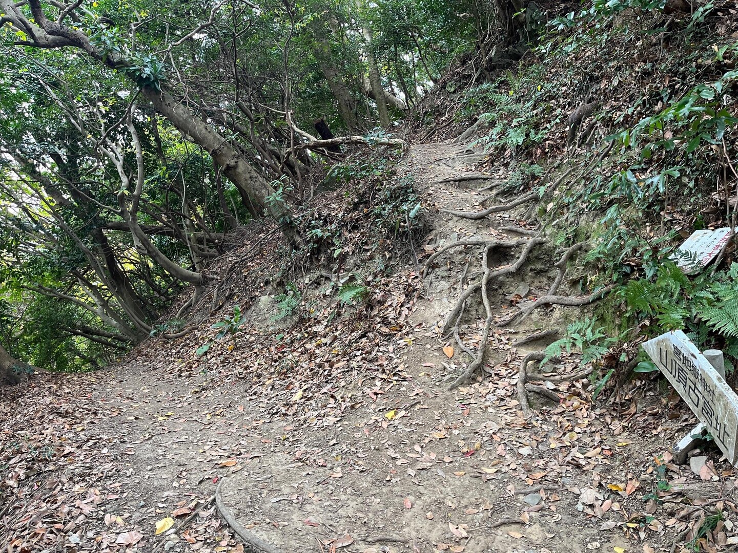 nekodakeさんの投稿したフィールドメモ | YAMAP / ヤマップ