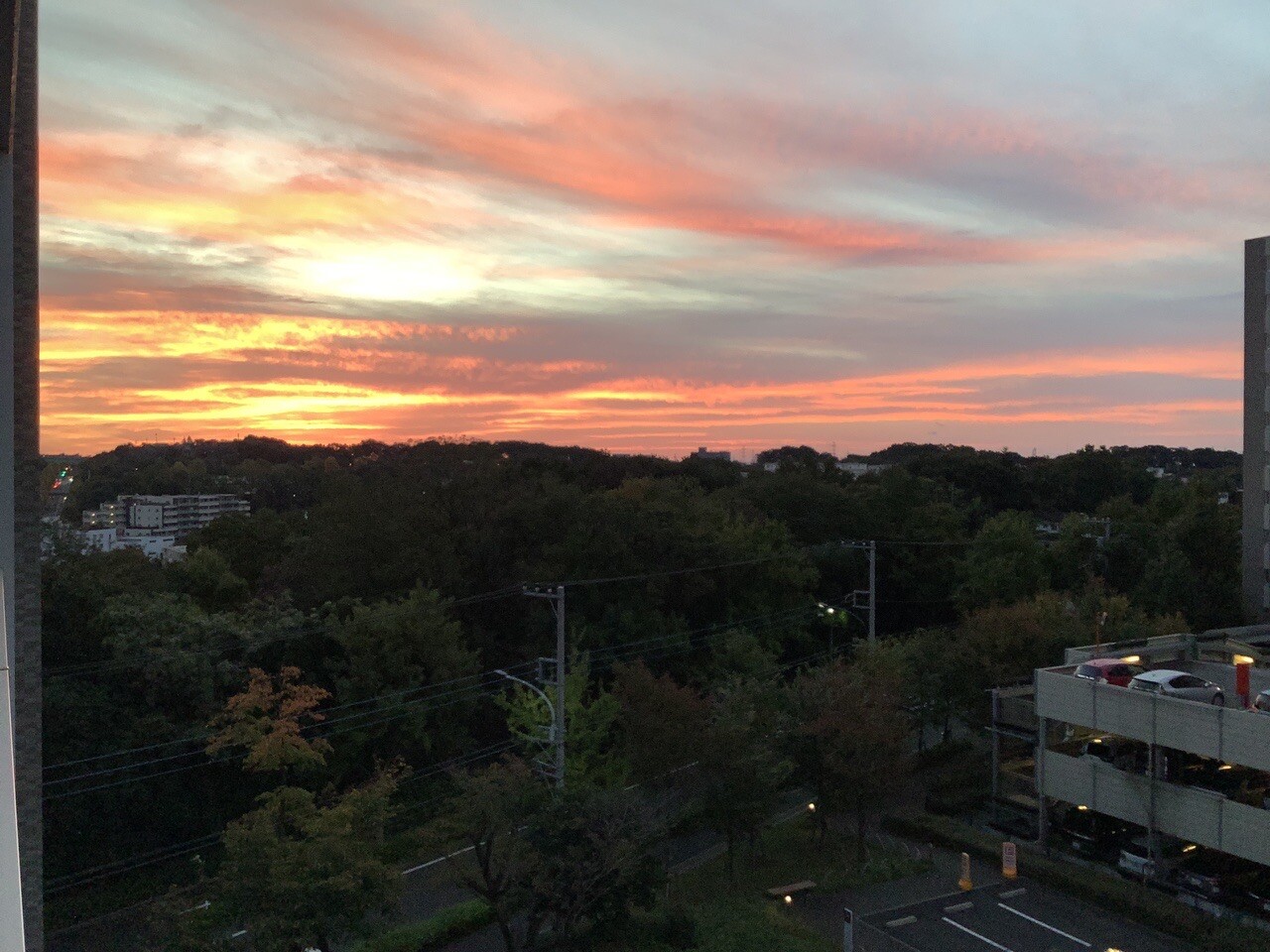 beautiful moment o... / 洋ちゃんさんのモーメント | YAMAP / ヤマップ