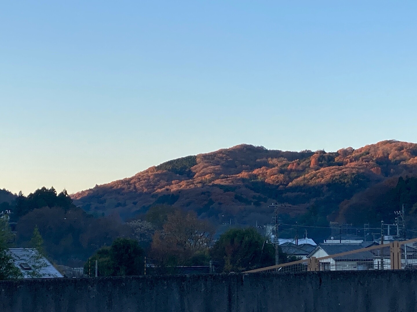 いざ、高麗（こま）へ♪ / taoさんの武蔵嵐山・大平山・仙元山の活動データ | YAMAP / ヤマップ