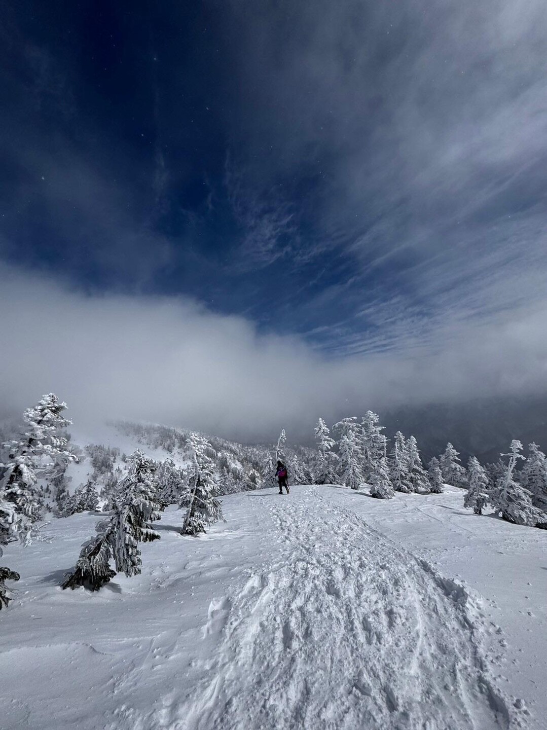 会津駒ヶ岳 / miiさんの会津駒ヶ岳の活動データ | YAMAP / ヤマップ