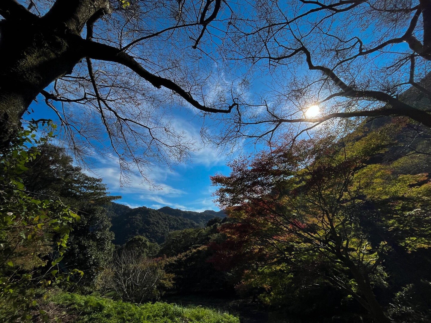 黒髪山・蛇焼山 / ra_nさんの黒髪山・青螺山の活動データ | YAMAP / ヤマップ