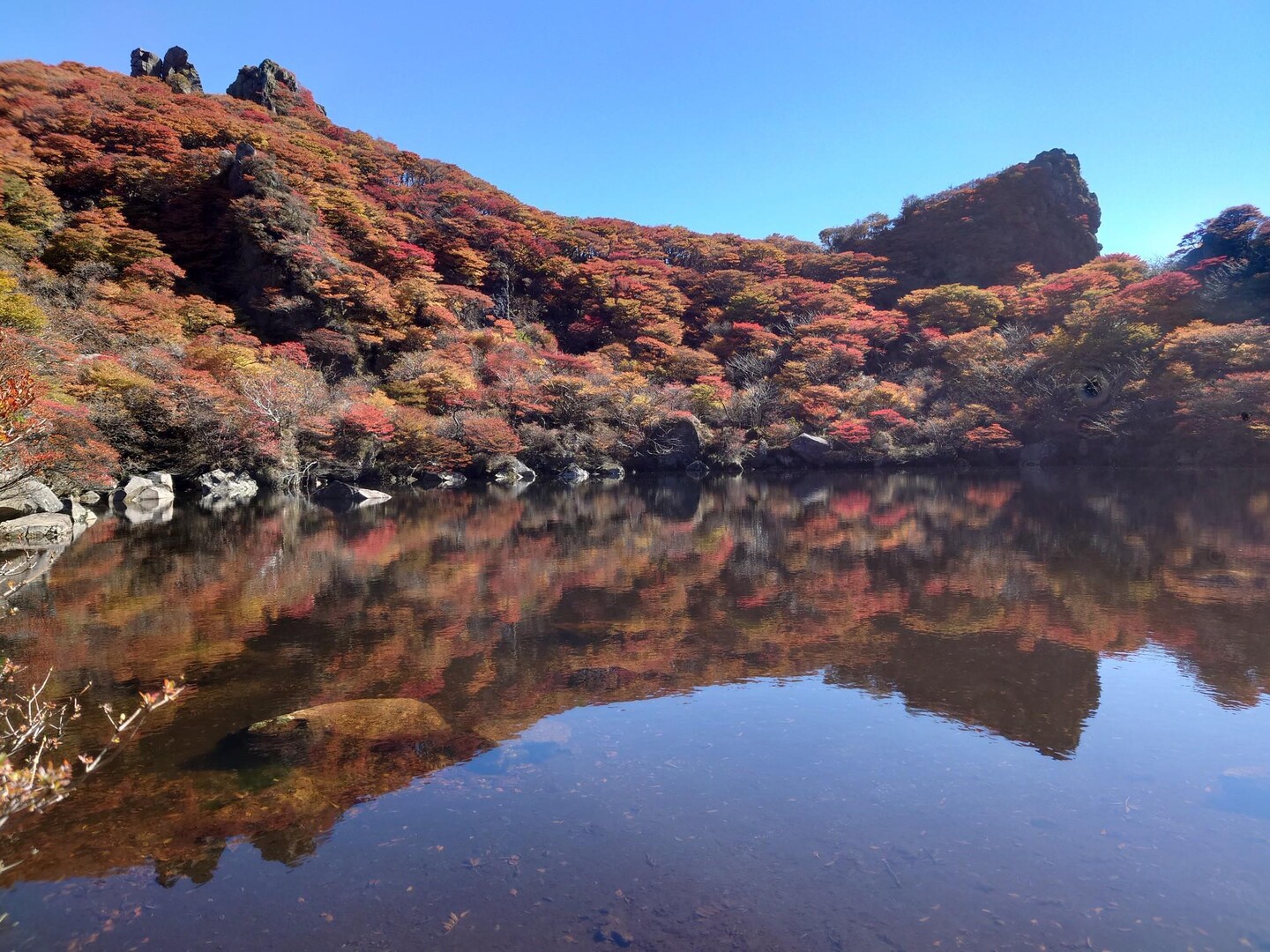 Bright Red🍁『くじゅう連山』を歩く\⁠(⁠^⁠o⁠^⁠)⁠／ / SHIROさんの九重山（久住山）・大船山・星生山の活動データ | YAMAP / ヤマップ
