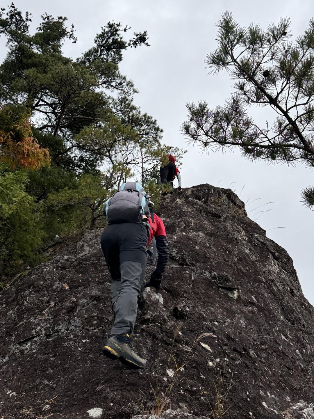楽しいアスレチック⛰️鍵掛山へ / mocaさんの鍵掛山・高土山の活動データ | YAMAP / ヤマップ