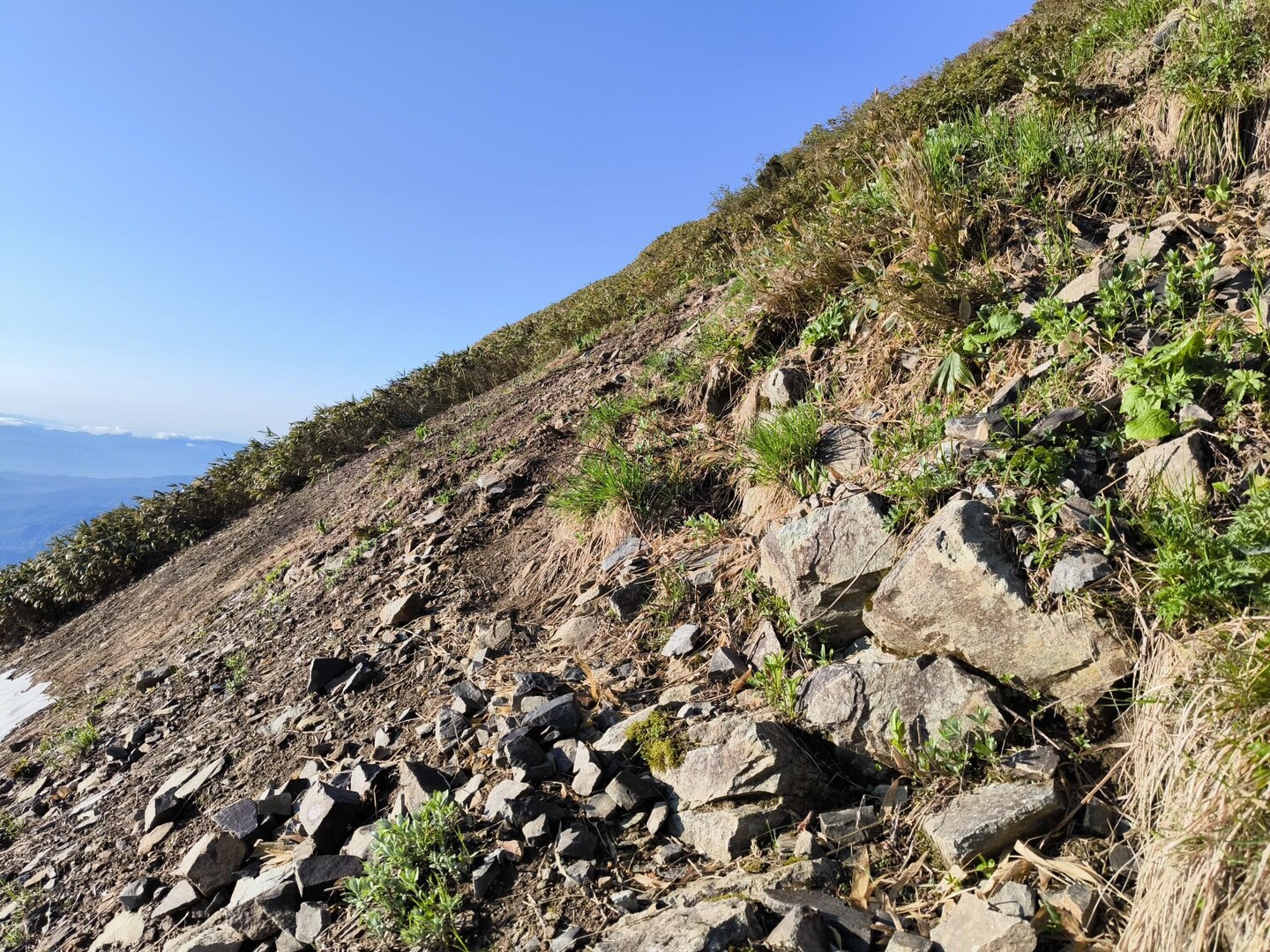 Housaさんの投稿したフィールドメモ | YAMAP / ヤマップ