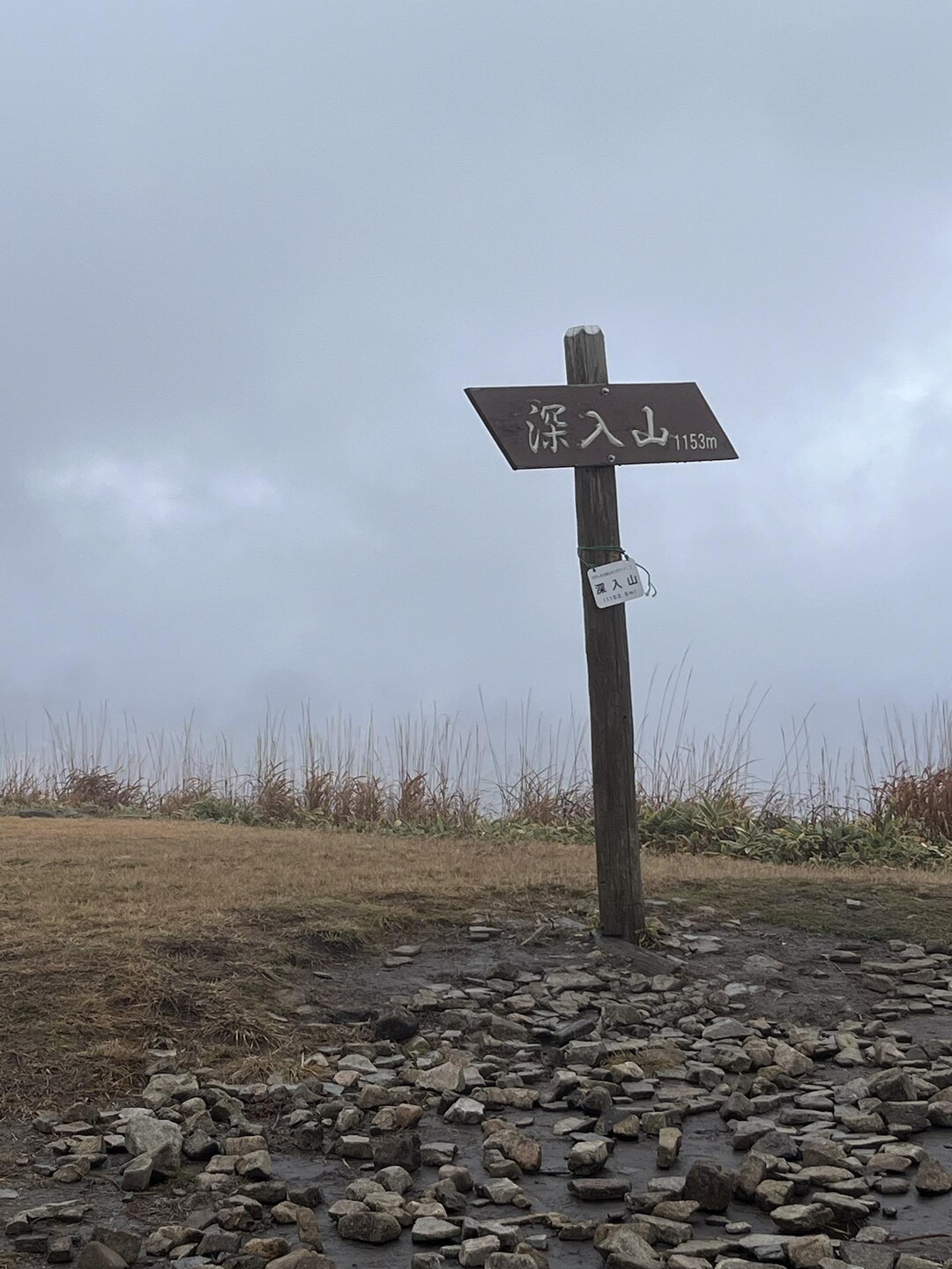 深入山 / おきM2さんの深入山の活動データ | YAMAP / ヤマップ