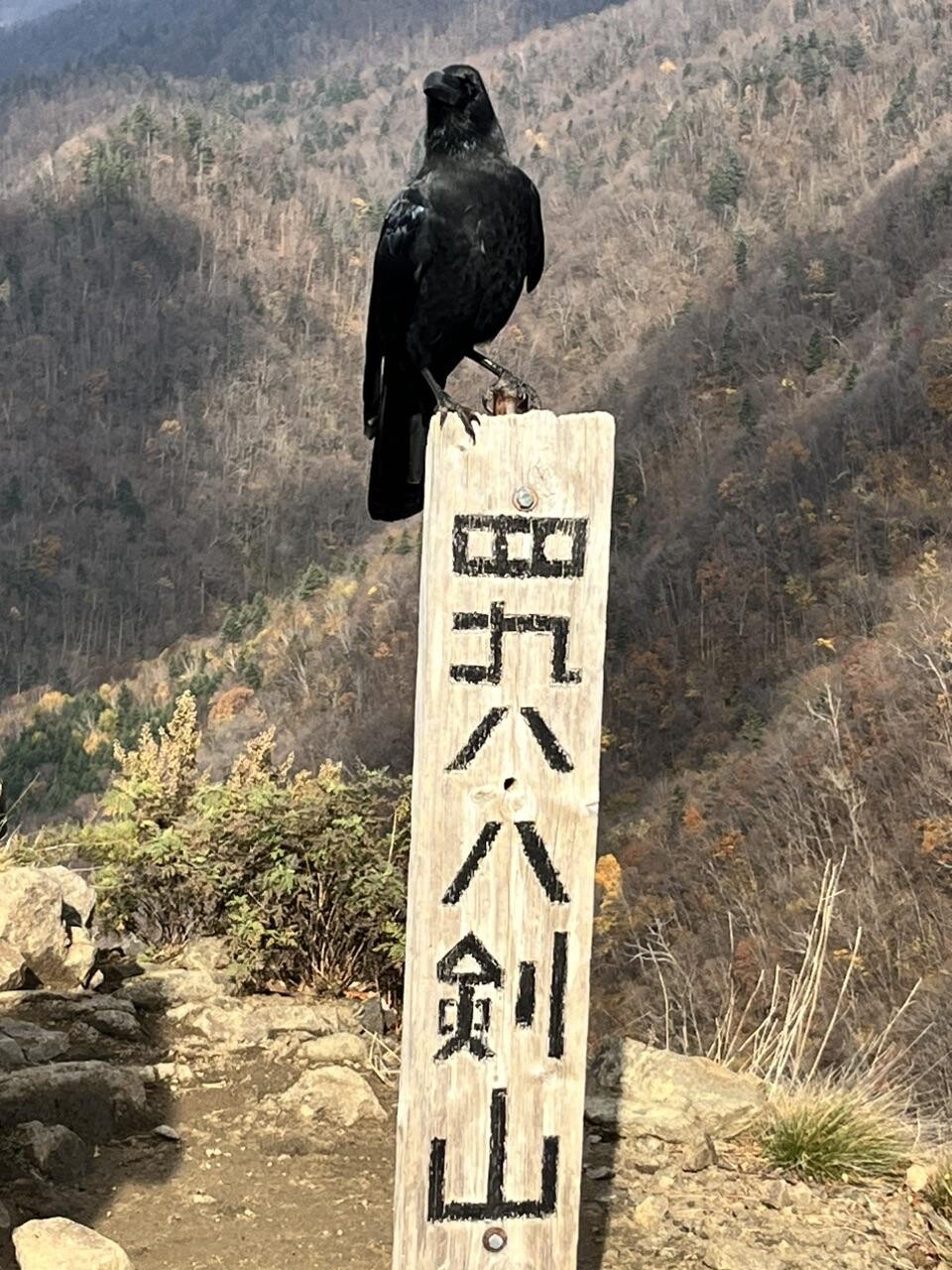 Mune🐻のページ | YAMAP / ヤマップ