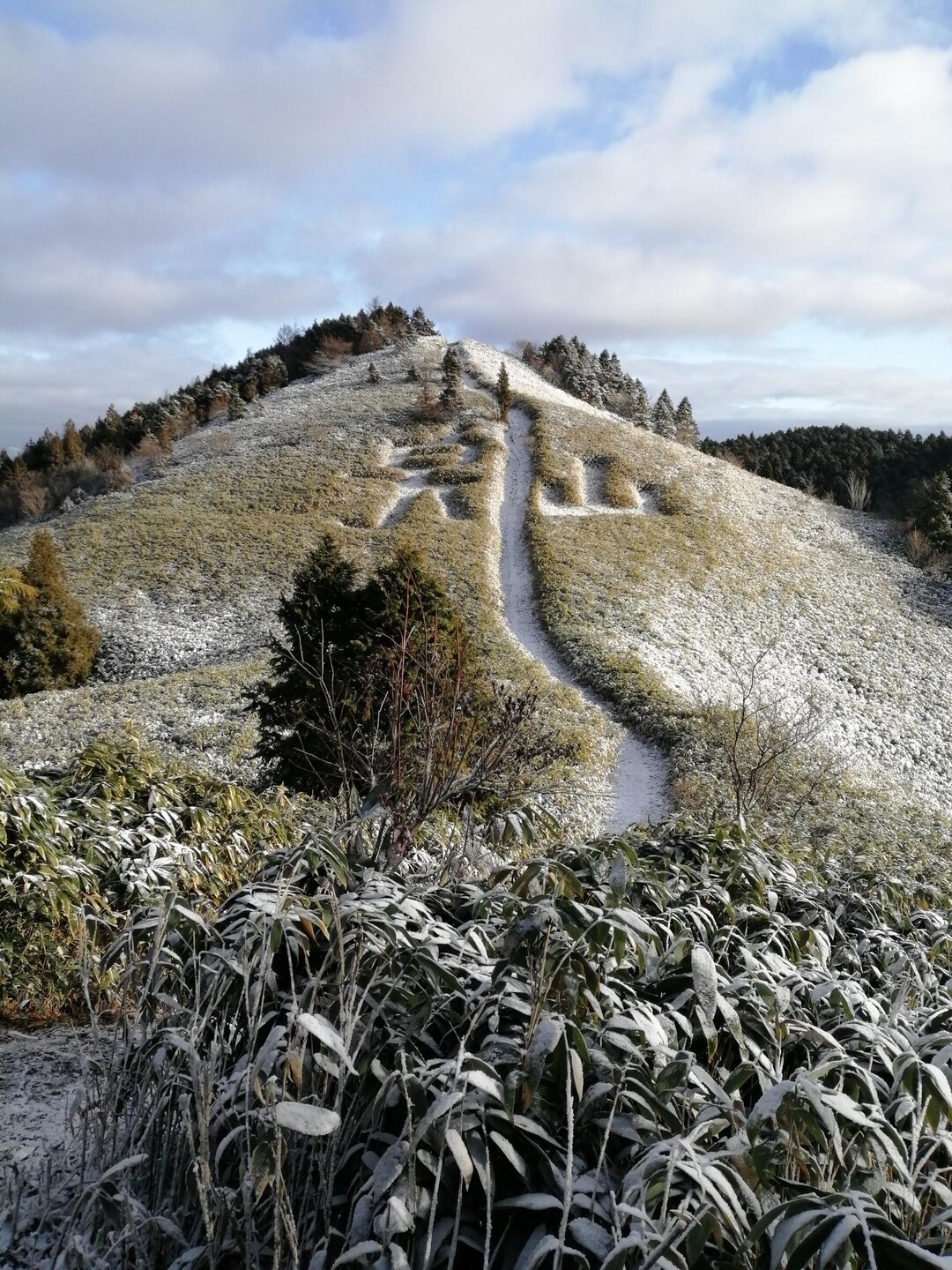 泉山 / まーくさんの泉山・井水山・黒沢山の活動データ | YAMAP / ヤマップ