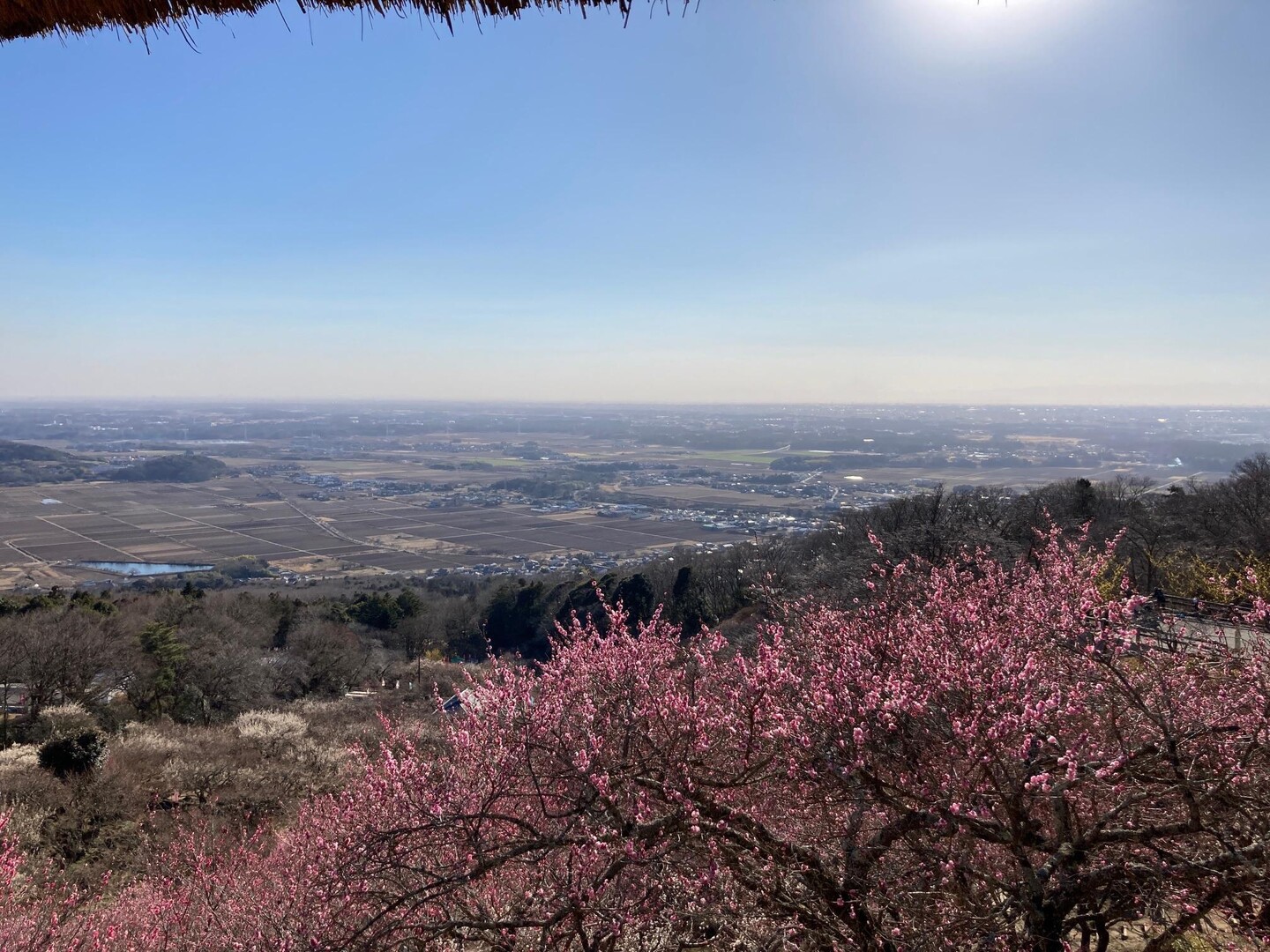 筑波山（男体山）・筑波山（女体山）・梅祭り / tenさんのヤマノススメ巡礼マップ（筑波山）の活動日記 | YAMAP / ヤマップ