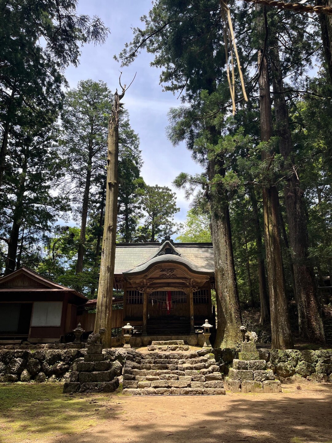 横倉山-2024-05-18 / sanaさんの横倉山の活動データ | YAMAP / ヤマップ