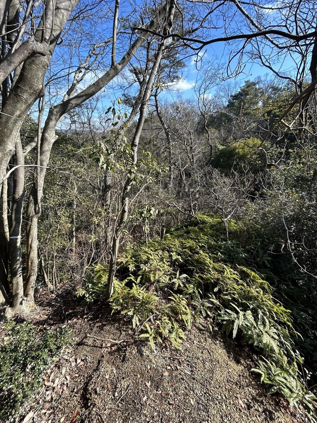 いささかGoodさんの投稿したフィールドメモ | YAMAP / ヤマップ