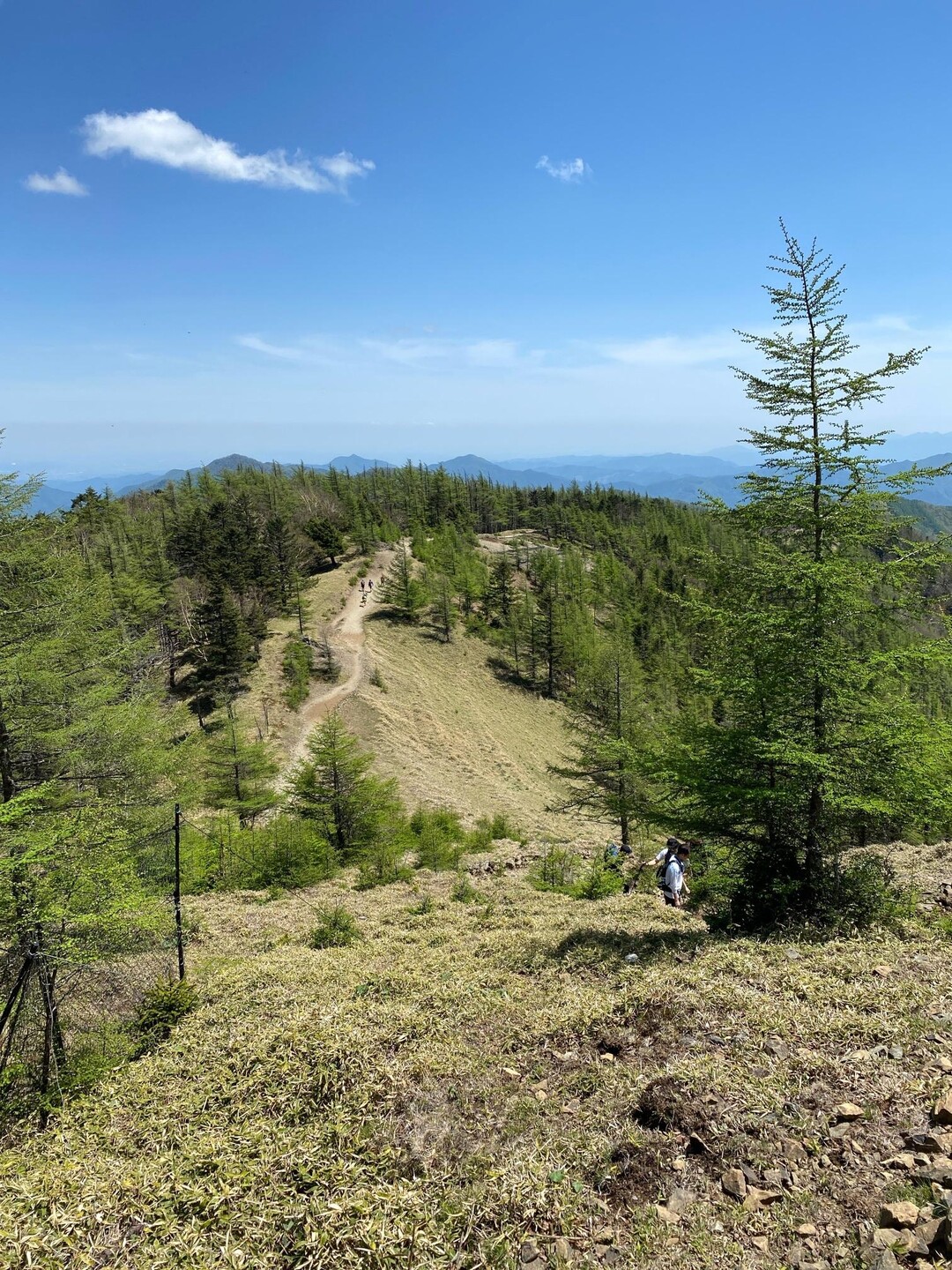 東京都最高峰 雲取山 / ryuさんの雲取山・鷹ノ巣山・七ツ石山の活動データ | YAMAP / ヤマップ