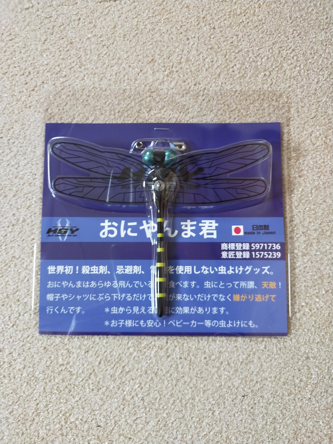土曜に、京都のWILD-1さんに行って来... / 🐶紫苑君ママ🐕🐾さんのモーメント | YAMAP / ヤマップ