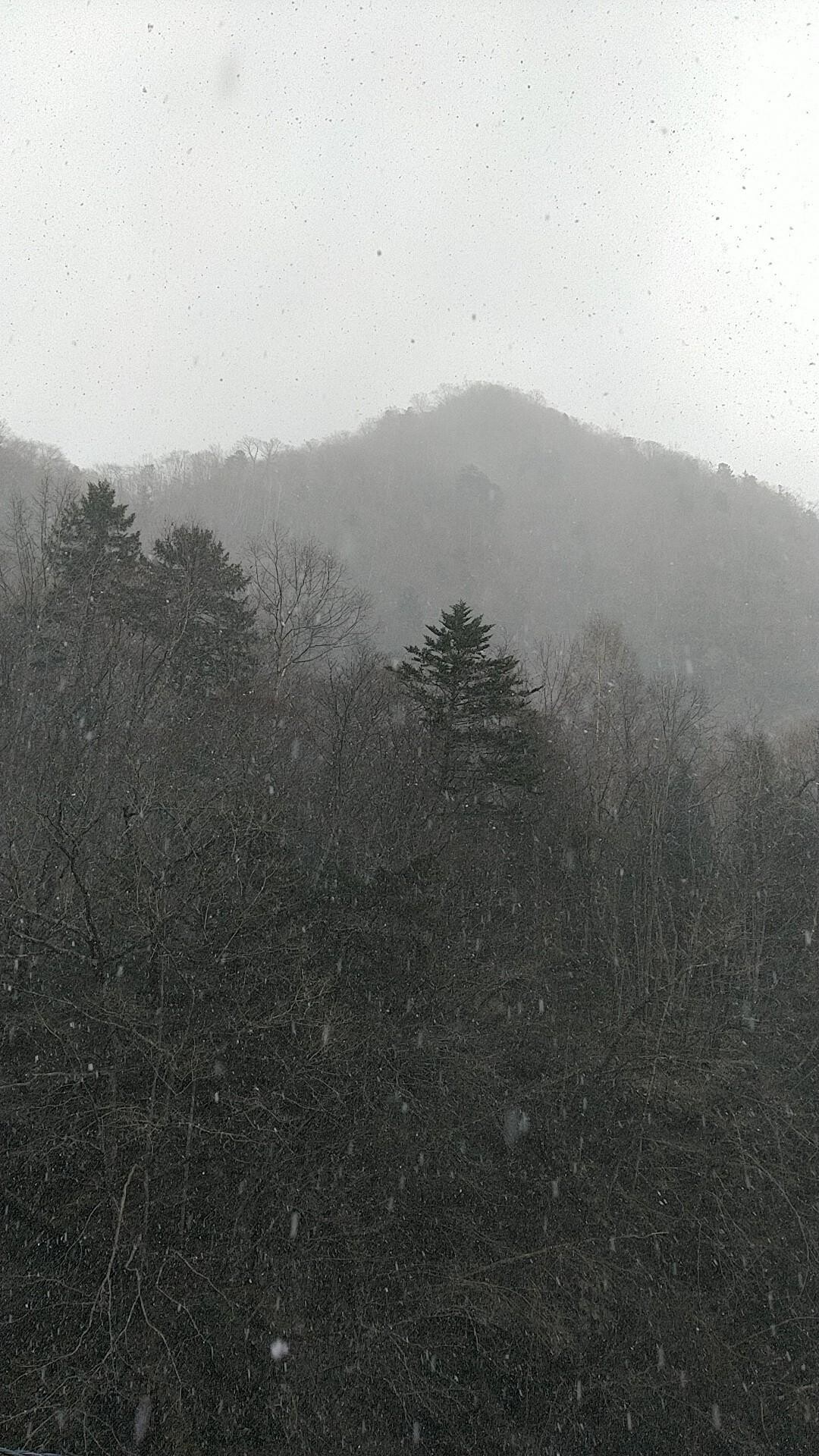 於曽牛山 / 新米さんのGT3 8の活動データ | YAMAP / ヤマップ