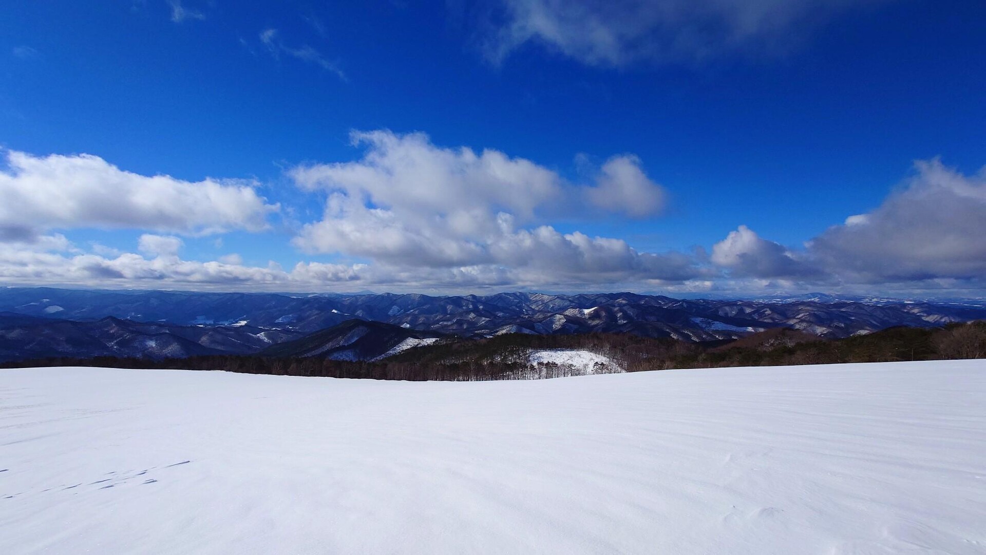 鼻黒岳 / tomyさんの安家森の活動データ | YAMAP / ヤマップ