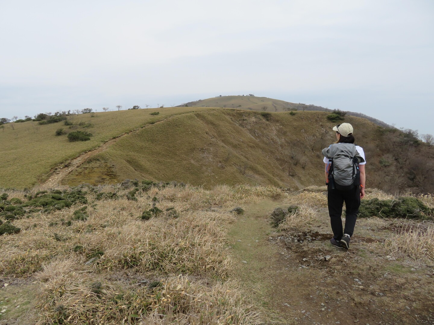 【蓬莱山】春の比良山地プチ縦走 / tu-sanさんの比良山地・武奈ヶ岳・釈迦岳の活動データ | YAMAP / ヤマップ